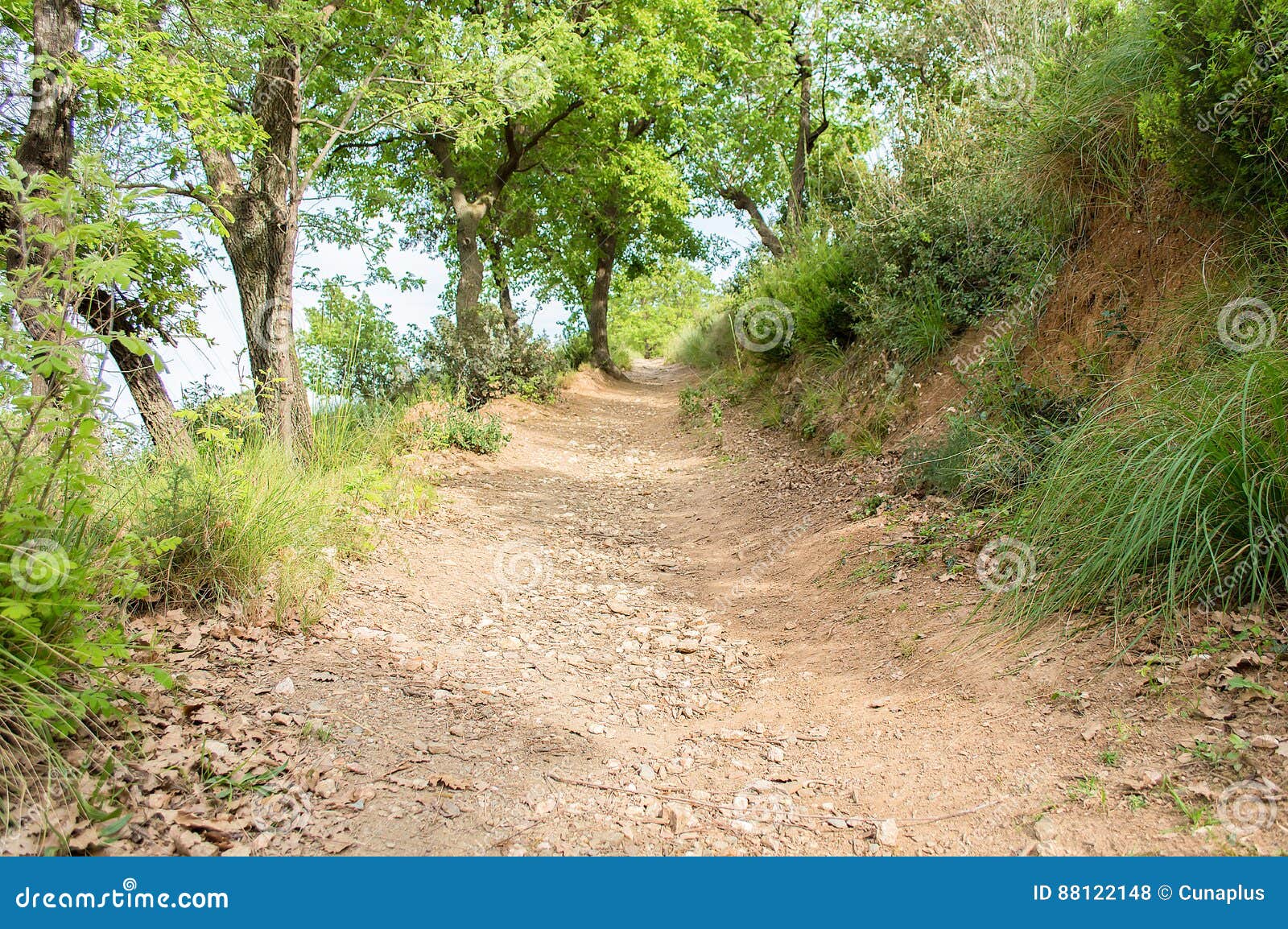Countryside path stock photo. Image of following, adventure - 88122148
