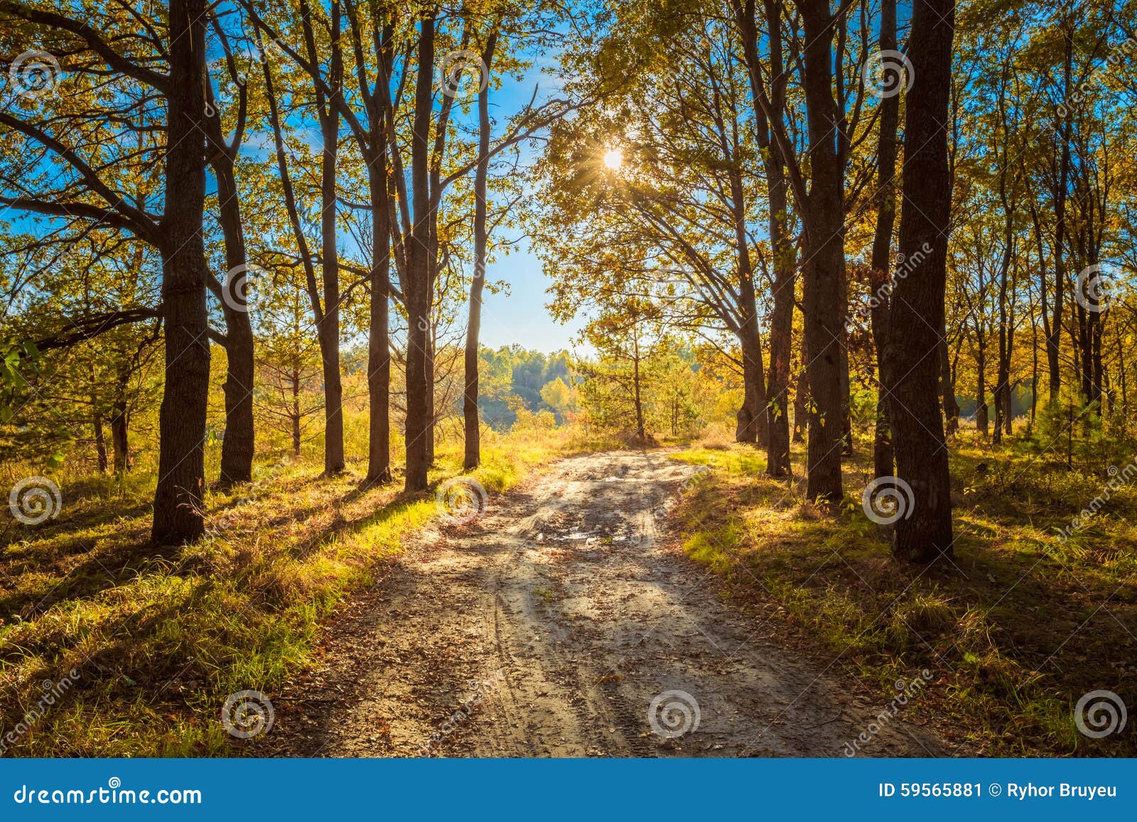 Countryside Path Road Way Pathway through Sunny Stock Image - Image of ...