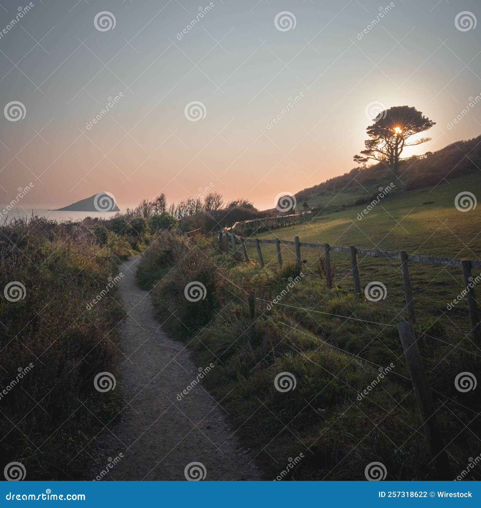 Countryside Path Surrounded by Meadow and Skyline Stock Photo - Image ...