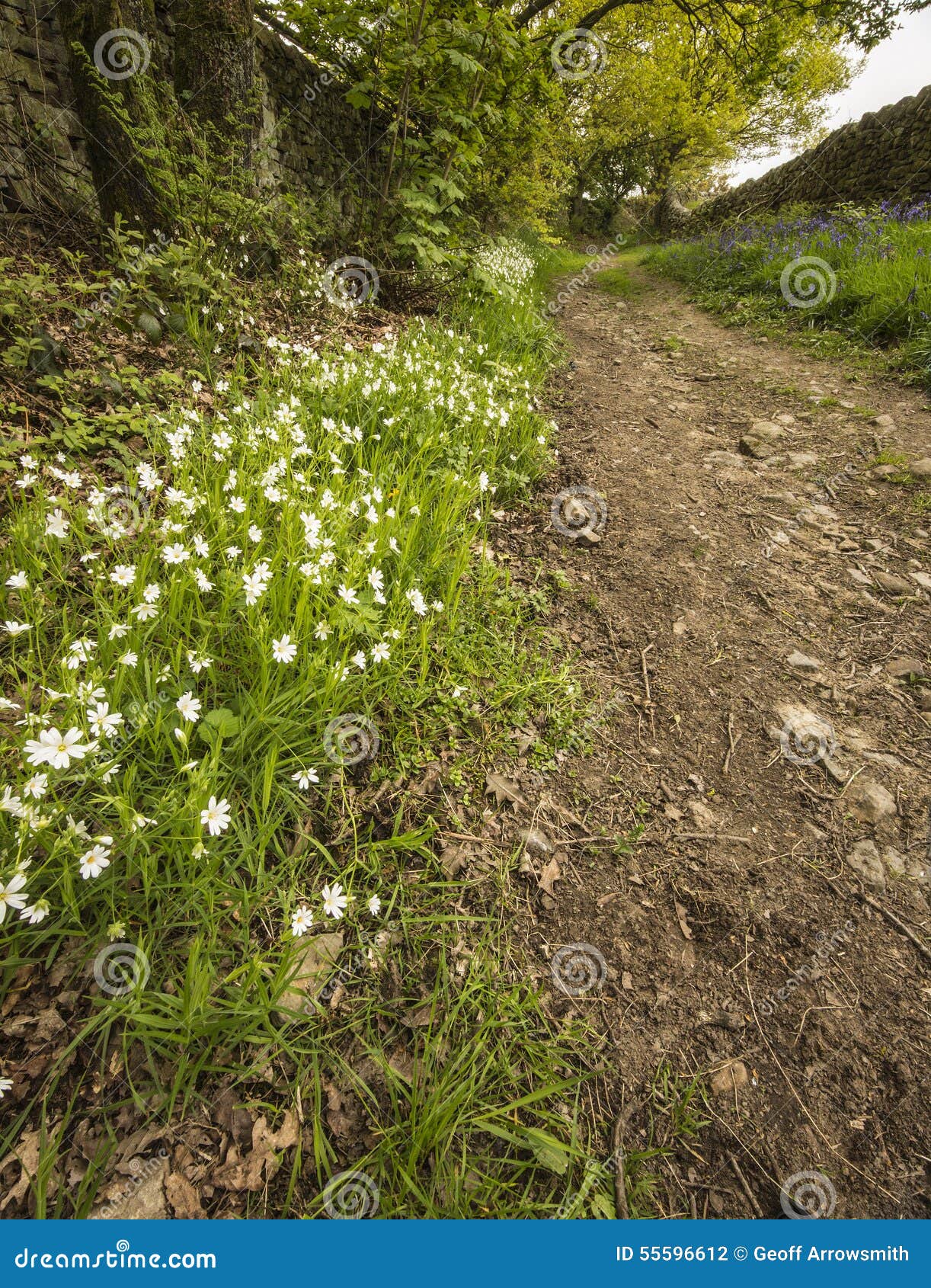 Countryside Path Uphill in Late Spring Stock Photo - Image of restful ...