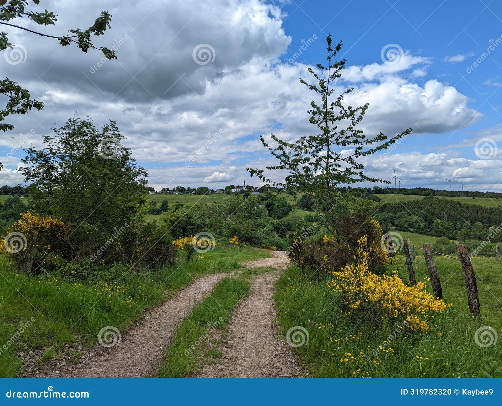 Countryside Pathway in Early Summer Stock Photo - Image of greenery ...