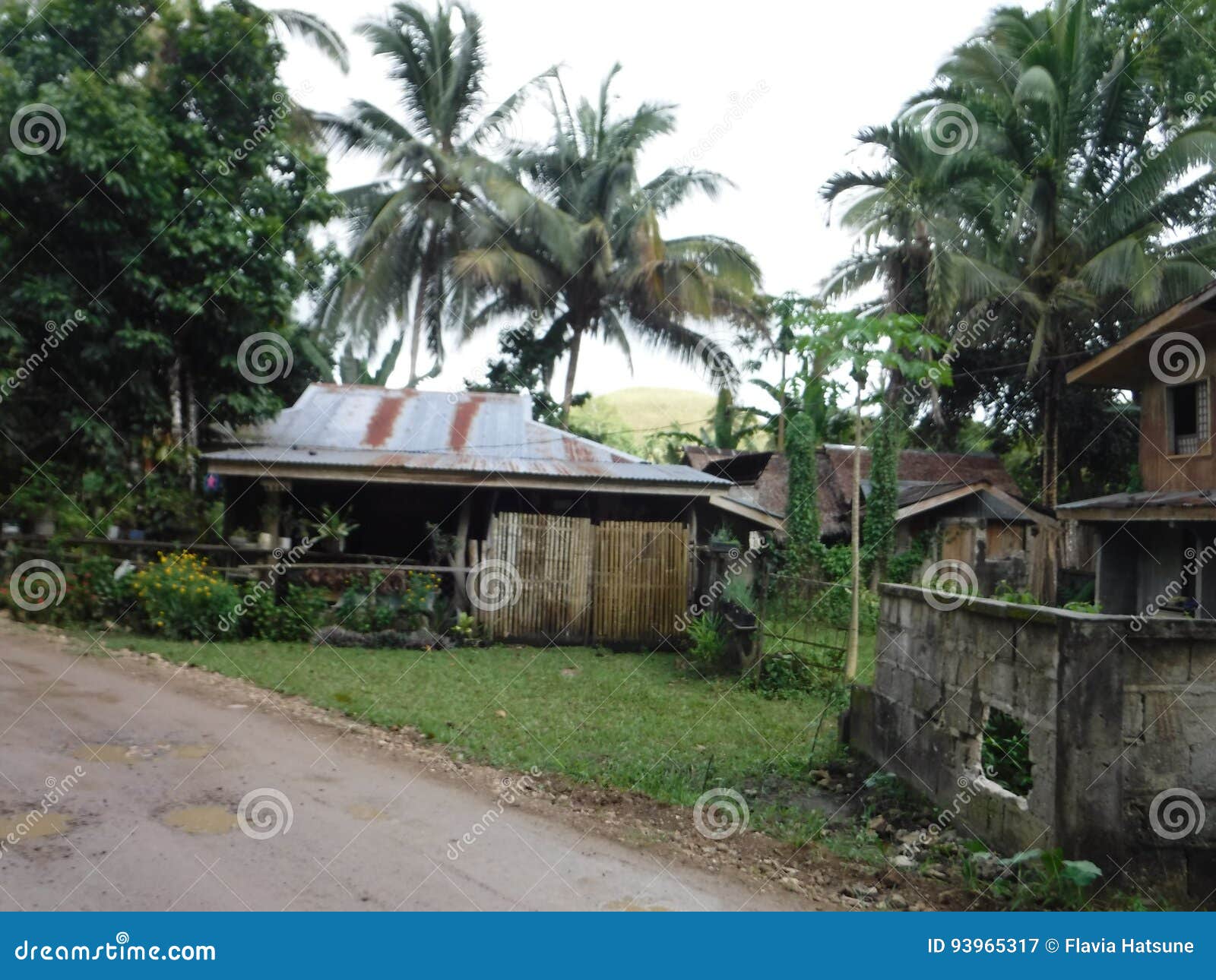 Countryside in the Philippines Stock Image - Image of nature, life ...