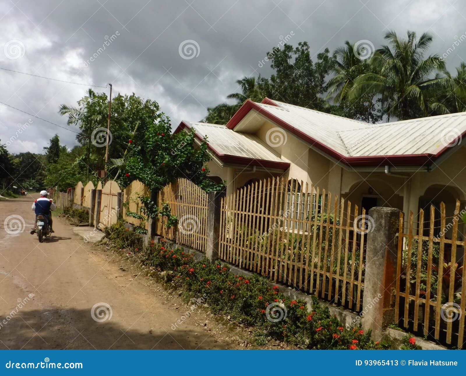Countryside in the Philippines Editorial Stock Photo - Image of nature ...