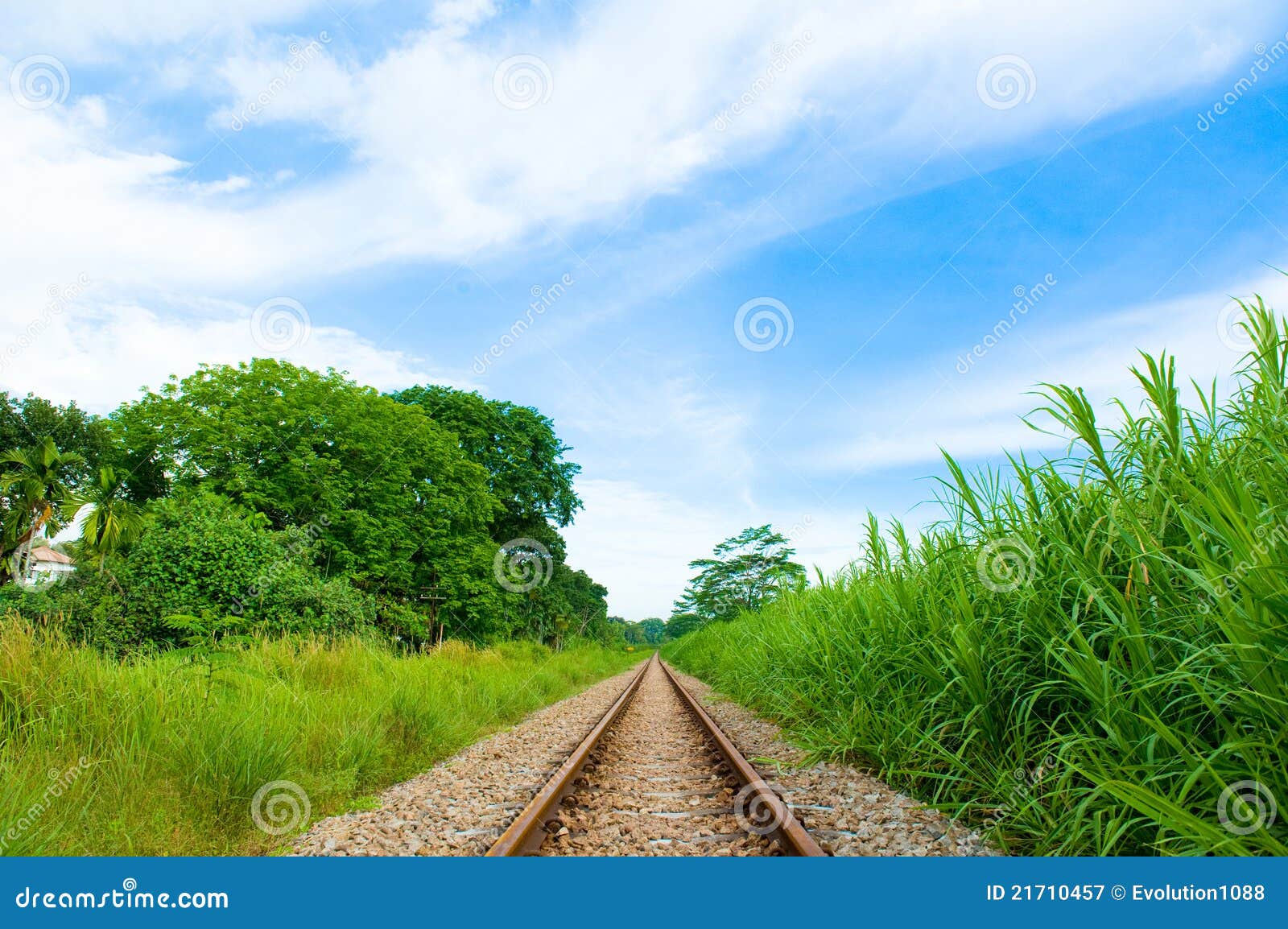 Countryside Railway Tracks stock image. Image of vegetation - 21710457