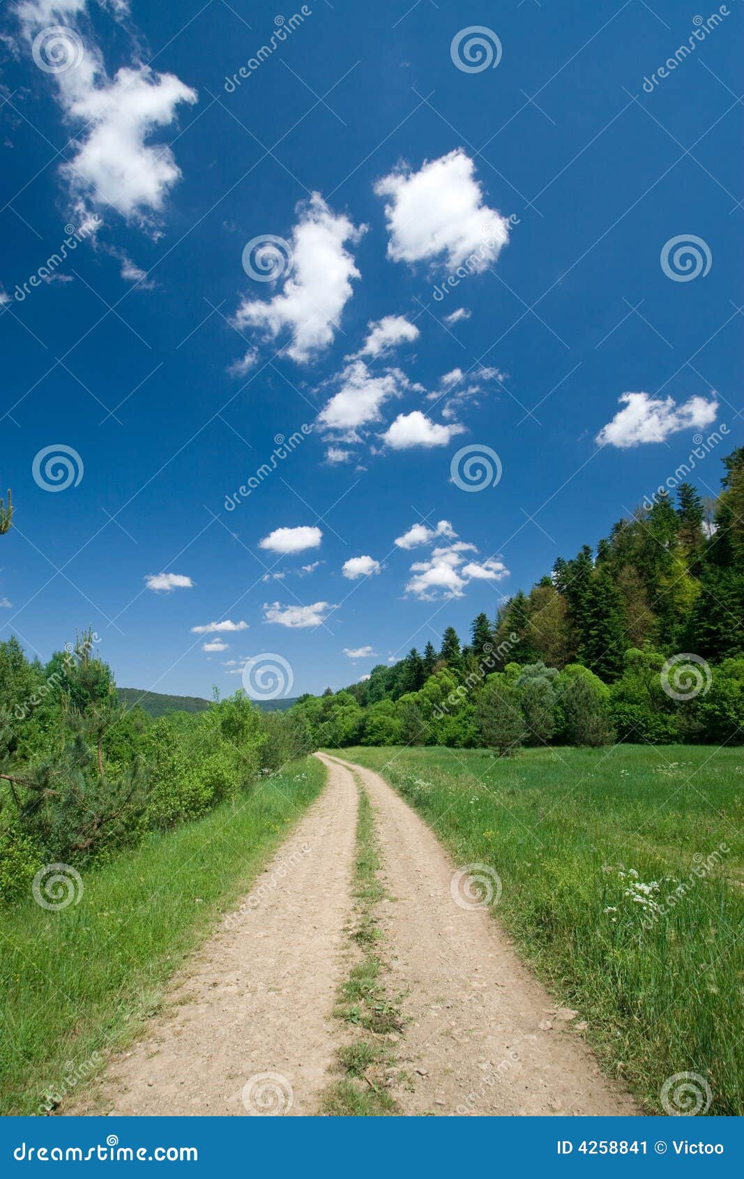 Countryside road stock image. Image of fall, outdoors - 4258841