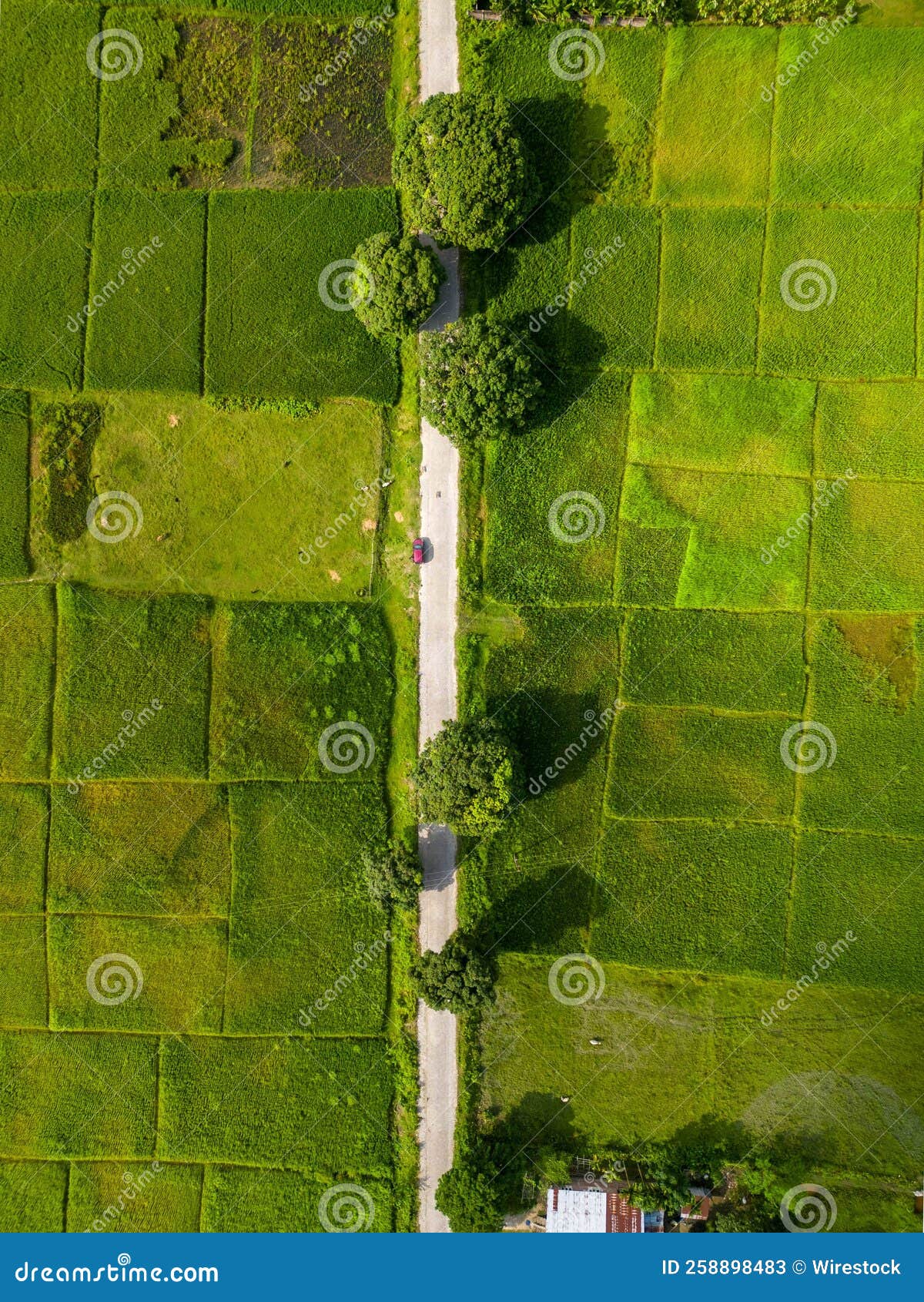 Countryside Road Going through Agricultural Fields, Top View, Vertical ...