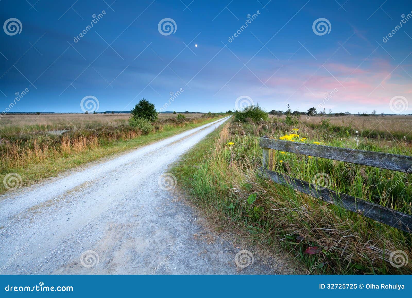 Countryside Road in Moonlight Stock Image - Image of people, marsh ...