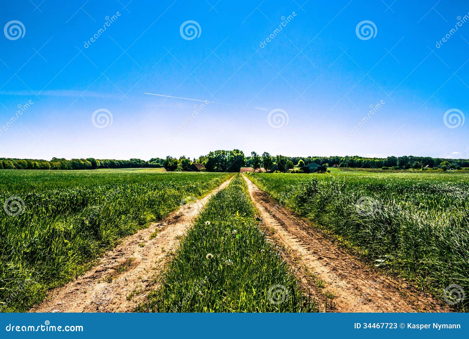 Countryside road stock image. Image of bright, green - 34467723