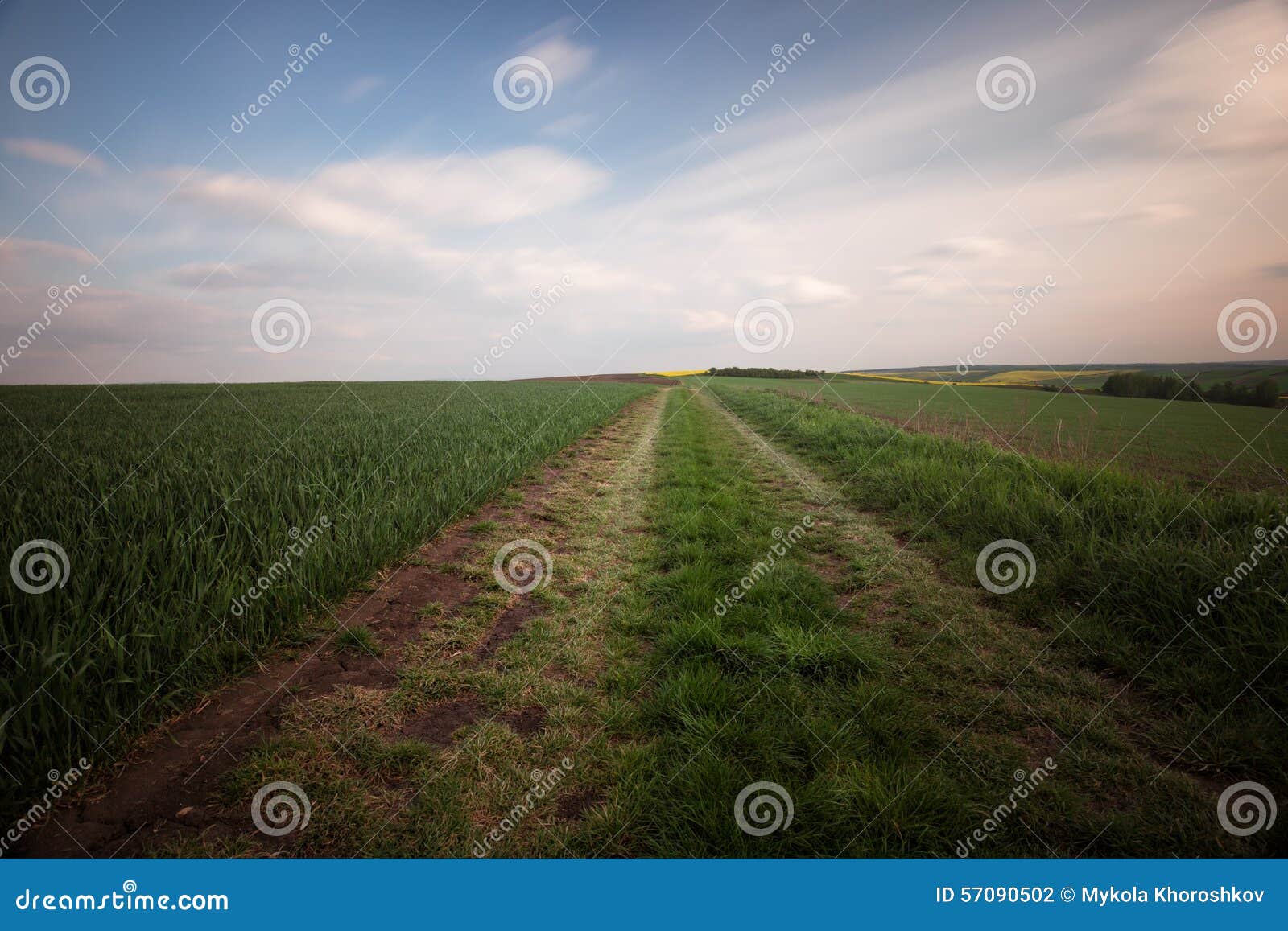 Countryside road at sunset stock photo. Image of farming - 57090502