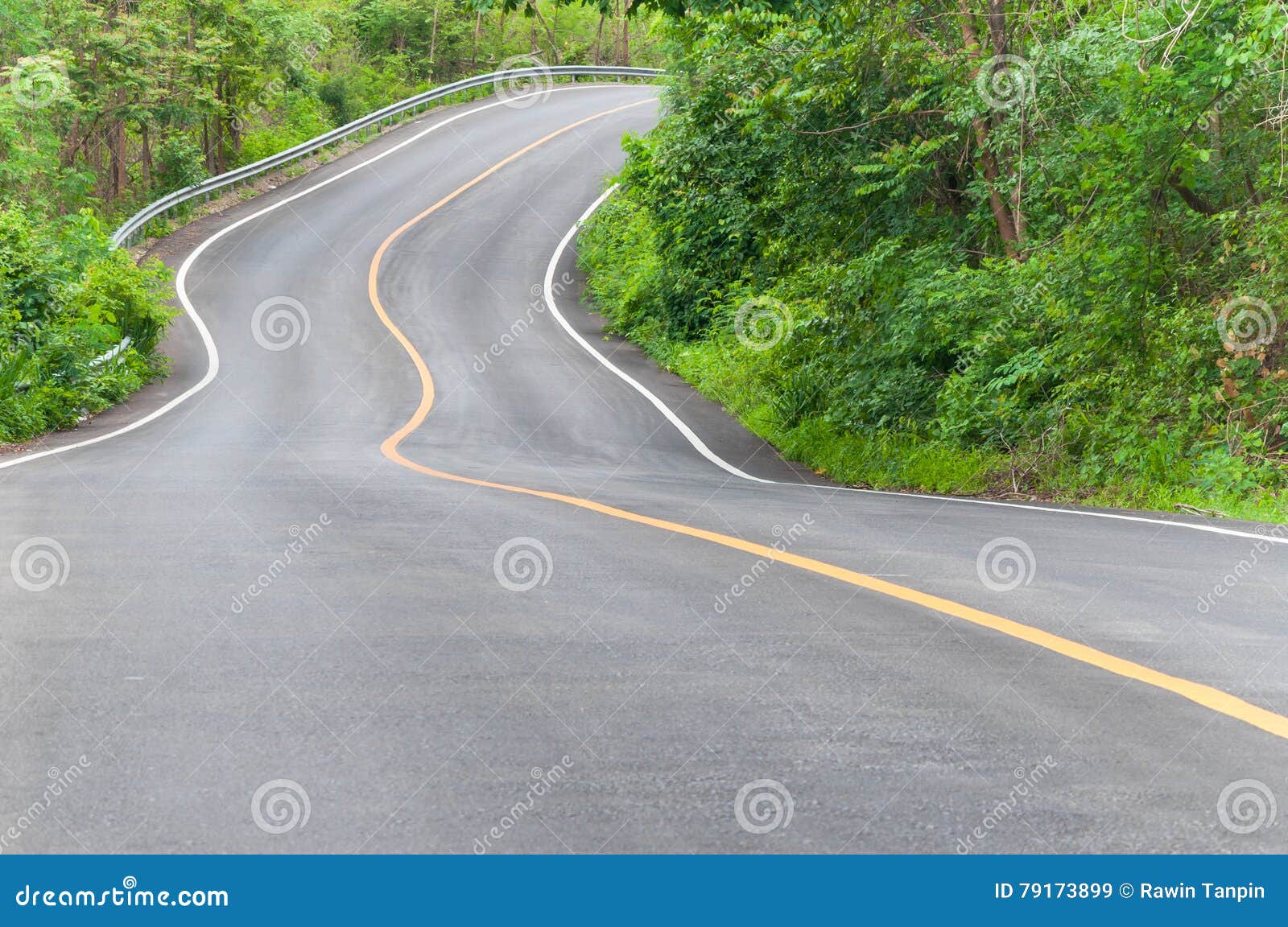 Countryside Road with Trees on Both Sides Stock Image - Image of ...