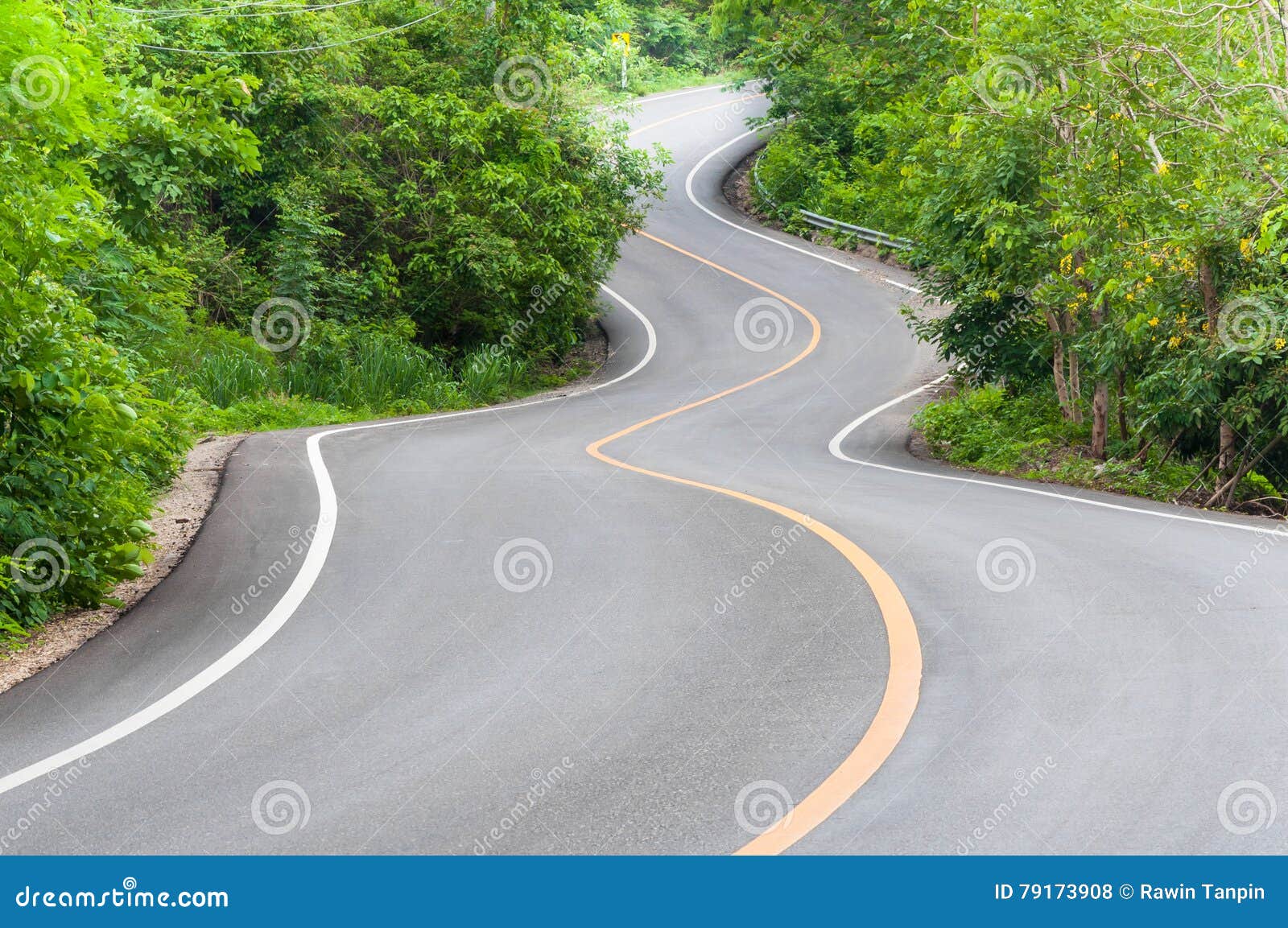 Countryside Road with Trees on Both Sides Stock Photo - Image of ...