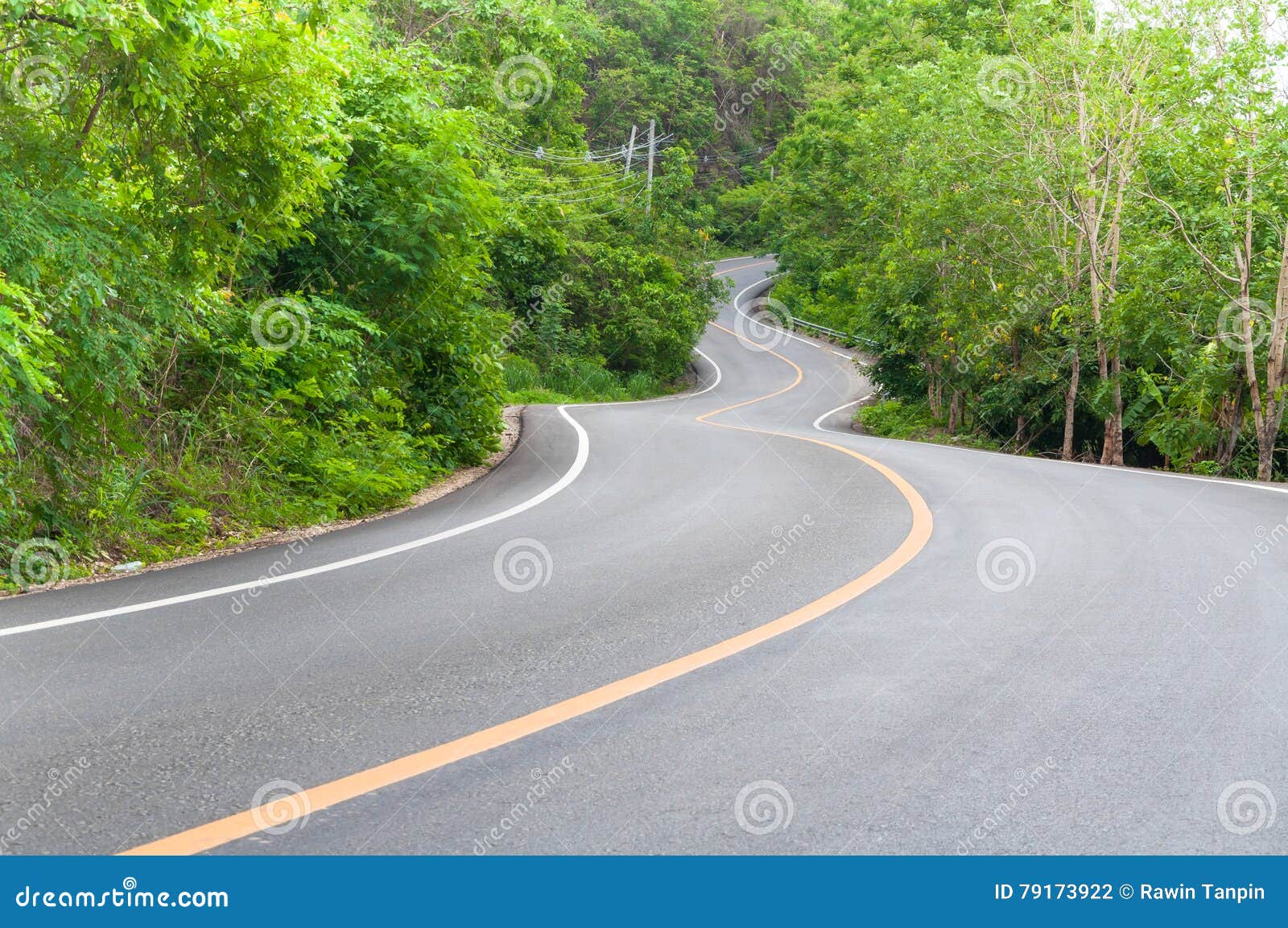 Countryside Road with Trees on Both Sides Stock Photo - Image of ...