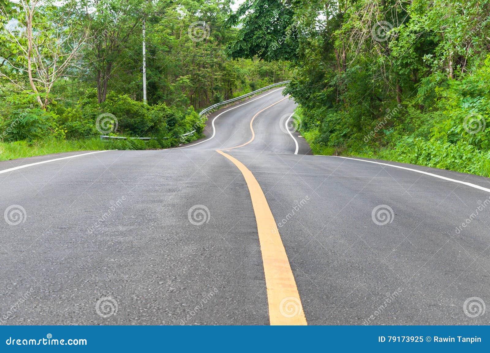 Countryside Road with Trees on Both Sides Stock Image - Image of fresh ...