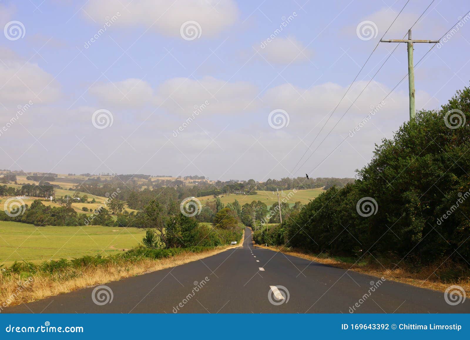 Countryside Road with Trees, Landscape and Blue Sky Stock Photo - Image ...