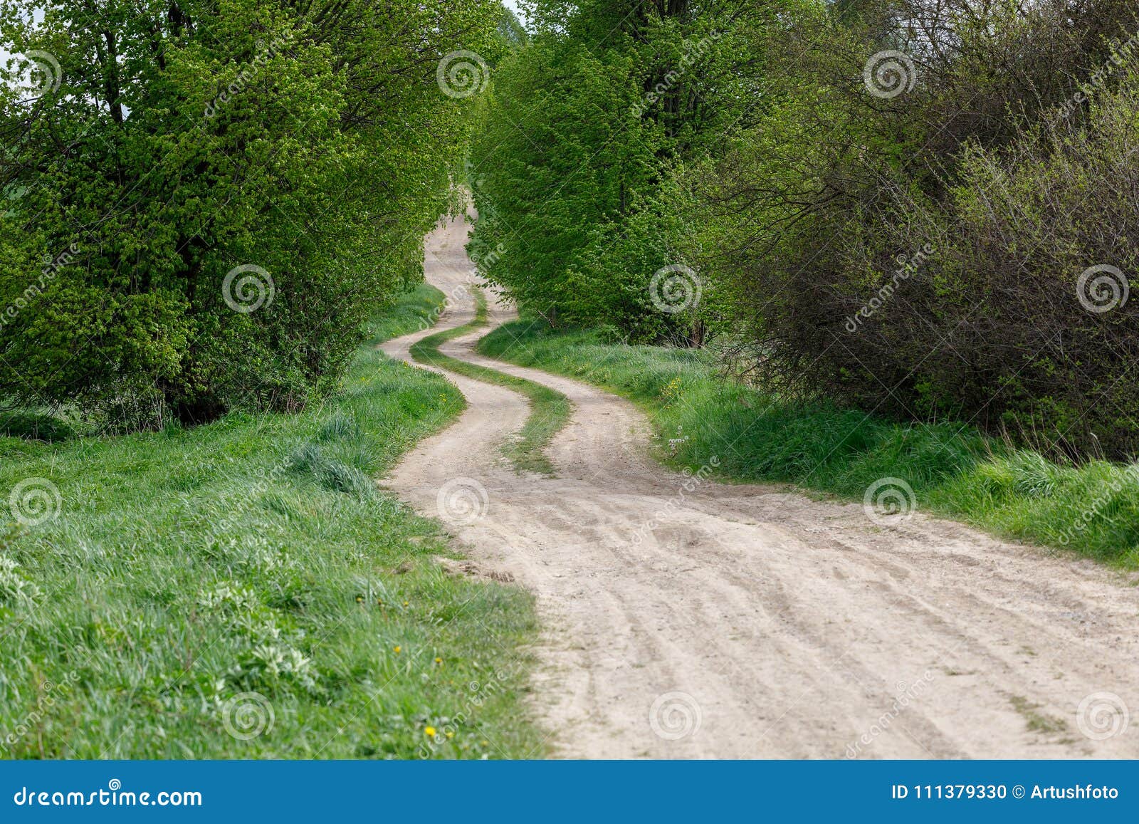 Countryside Rural Forest Path Stock Photo - Image of shadow, beautiful ...