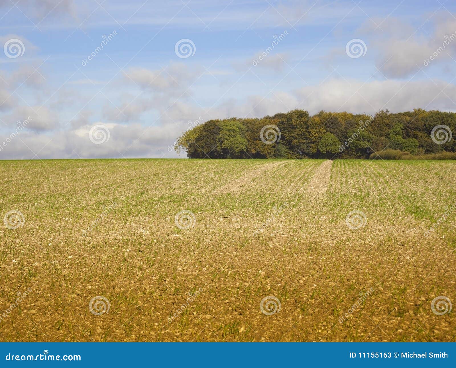 Countryside scene stock image. Image of countryside, clouds - 11155163
