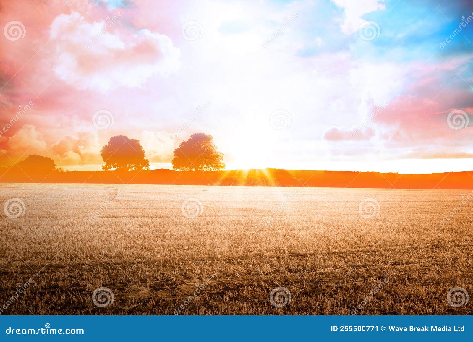 Countryside scene stock image. Image of computer, grass - 255500771