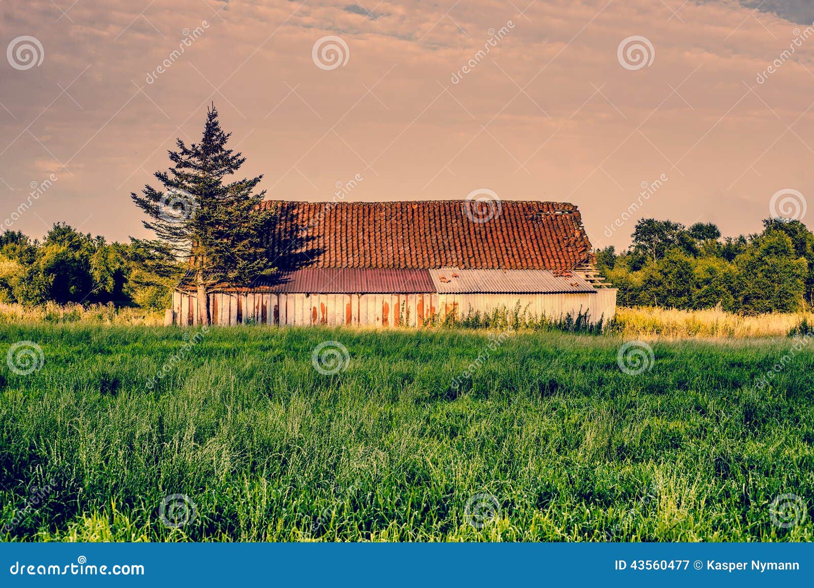 Countryside Scenery with an Old Barn Stock Image - Image of agriculture ...