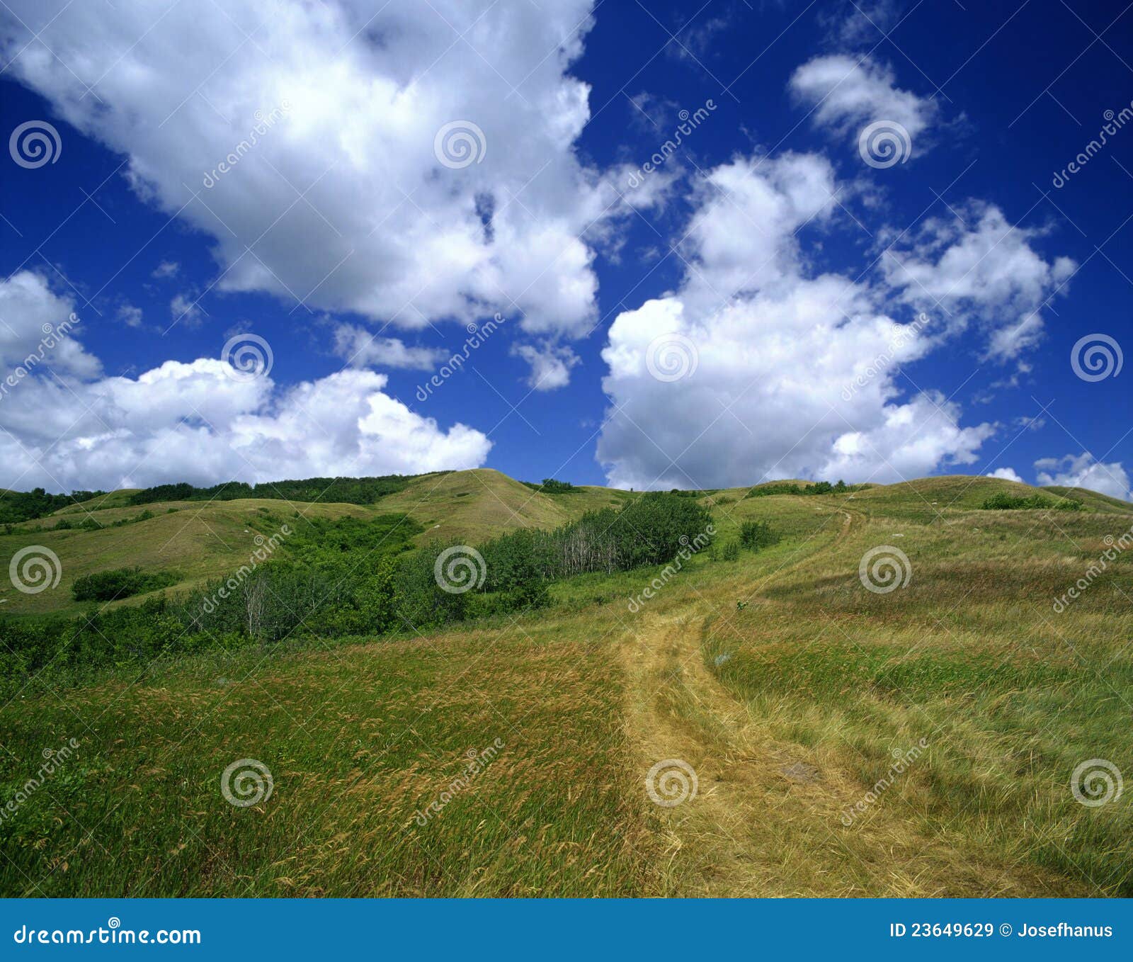 Countryside Scenery in Ontario Stock Image - Image of nature, canada ...