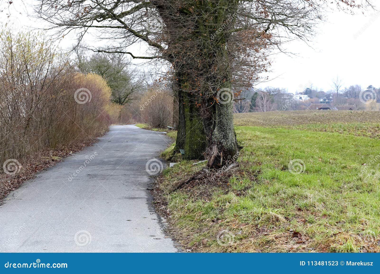 Rural Landscape on a Snowless Winter Day Stock Image - Image of ...