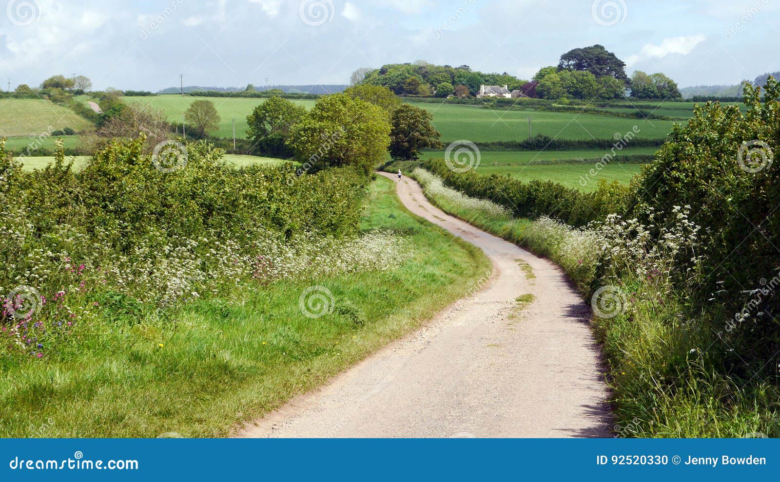 Countryside in Spring Landscape in England Stock Photo - Image of ...