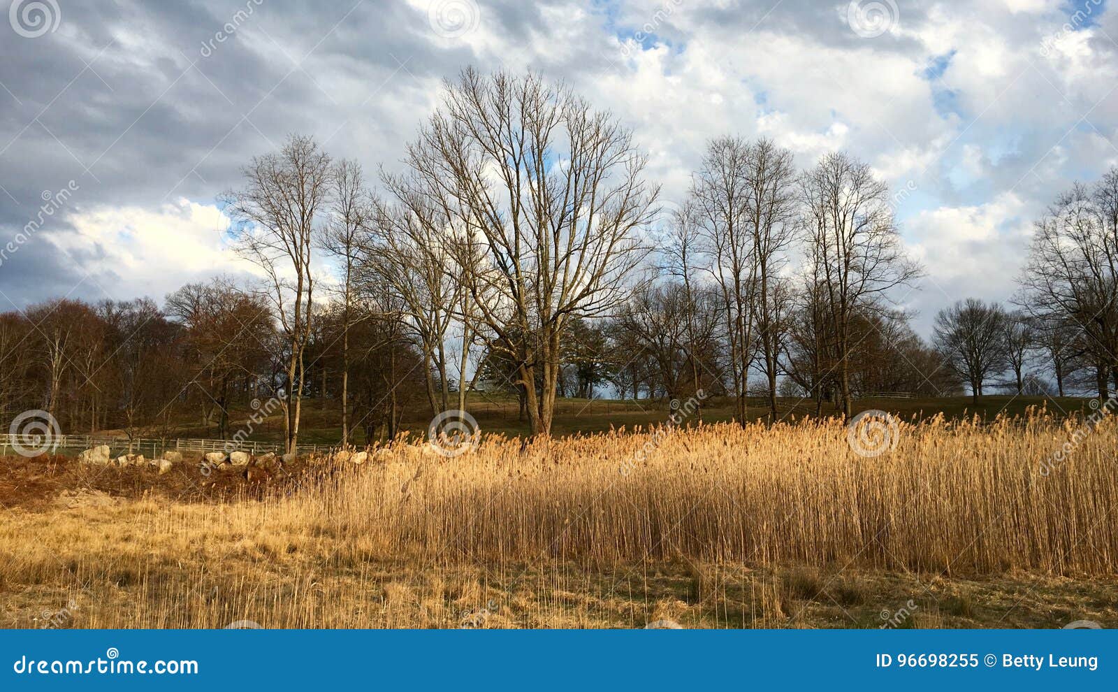 Countryside in Spring in New York Stock Image - Image of clouds ...