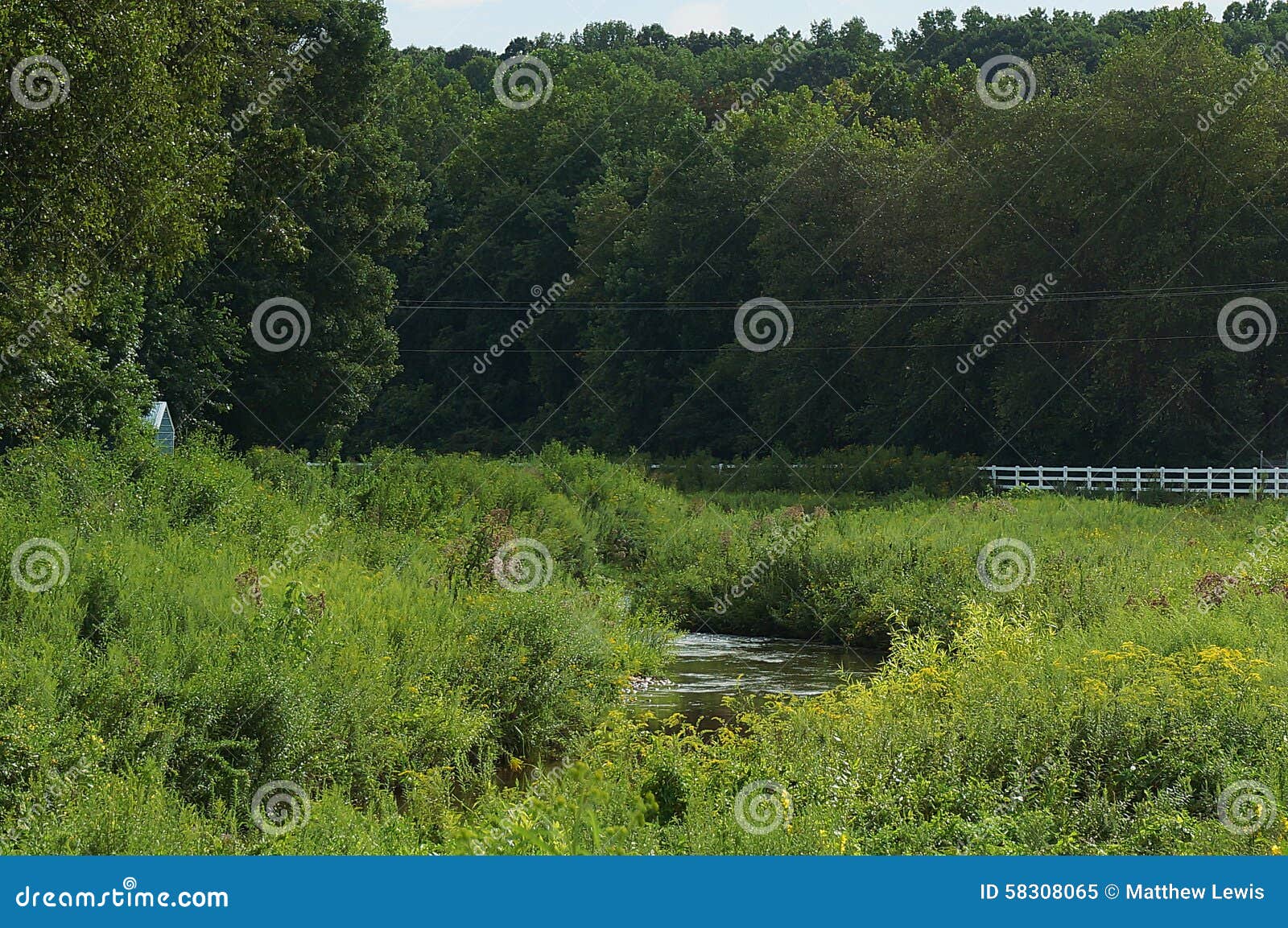Countryside Stream and Meadows Stock Image - Image of lanscape, scene ...