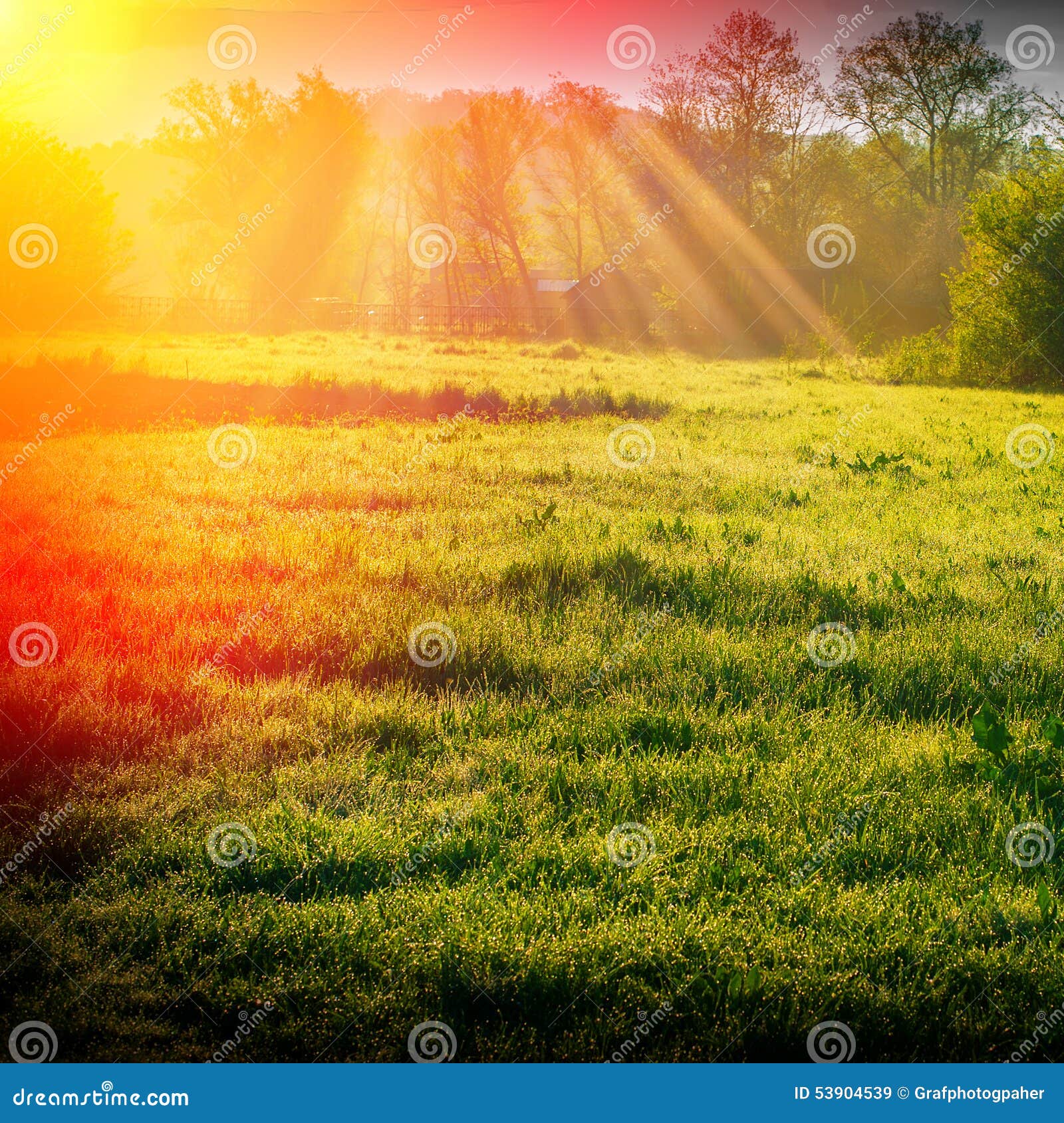 Countryside stock image. Image of sunny, landscape, sunlight - 53904539