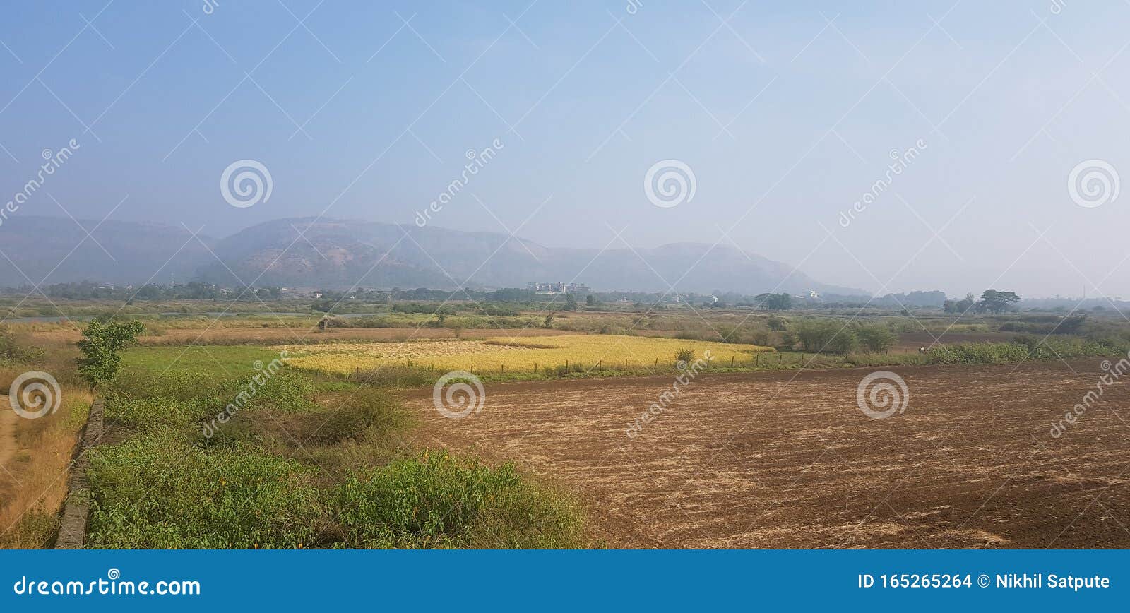 Countryside Sunny Farms Fields Nature Stock Photo - Image of sunny ...