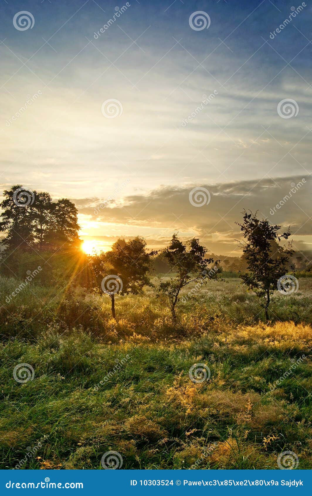 Countryside sunrise stock photo. Image of countryside - 10303524