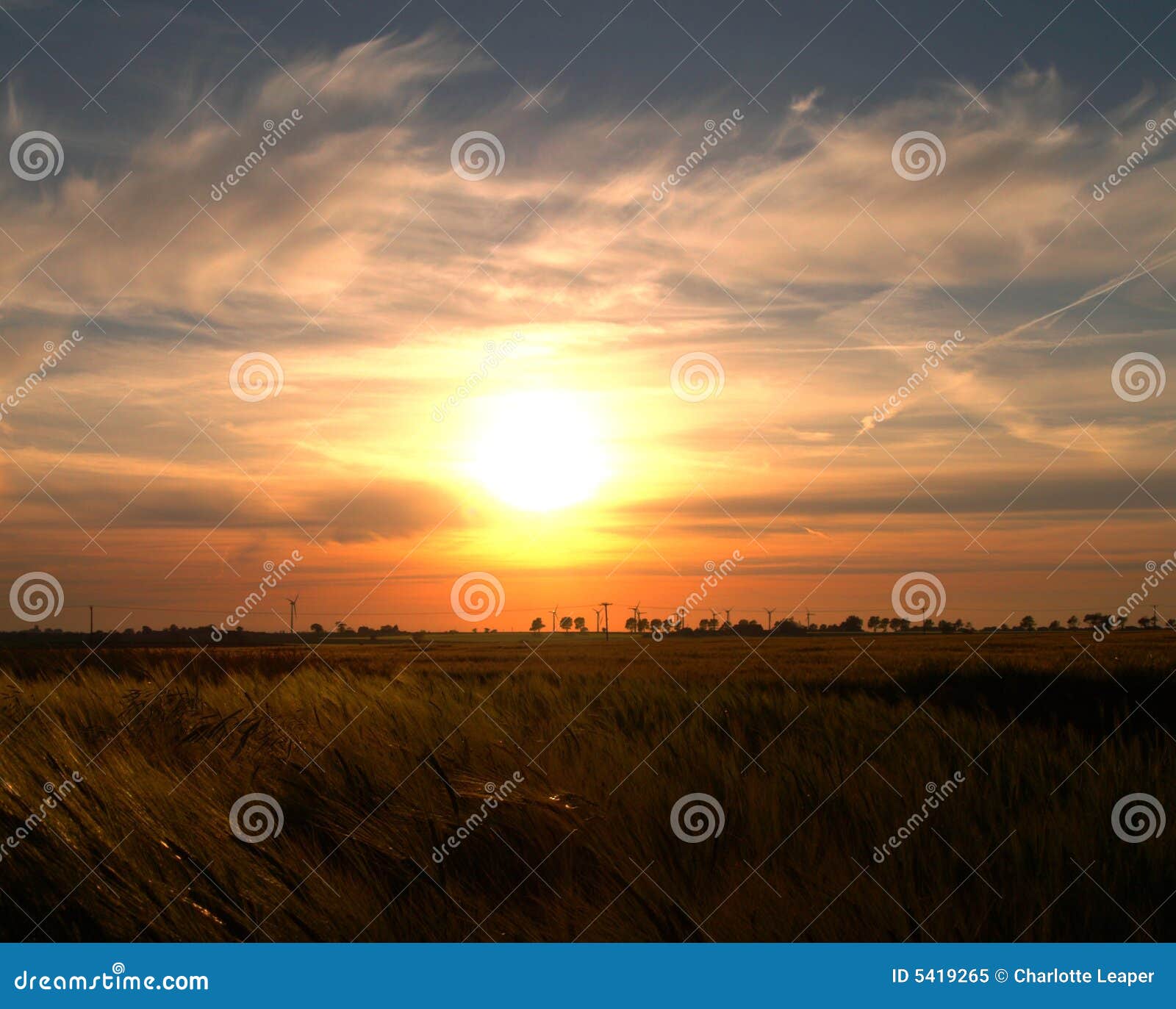 Countryside Sunset stock image. Image of grass, sundown - 5419265