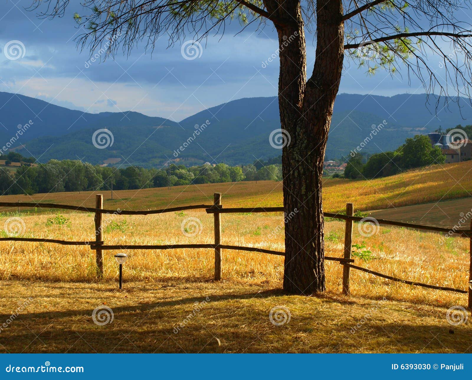 Countryside in the sunset stock photo. Image of farms - 6393030
