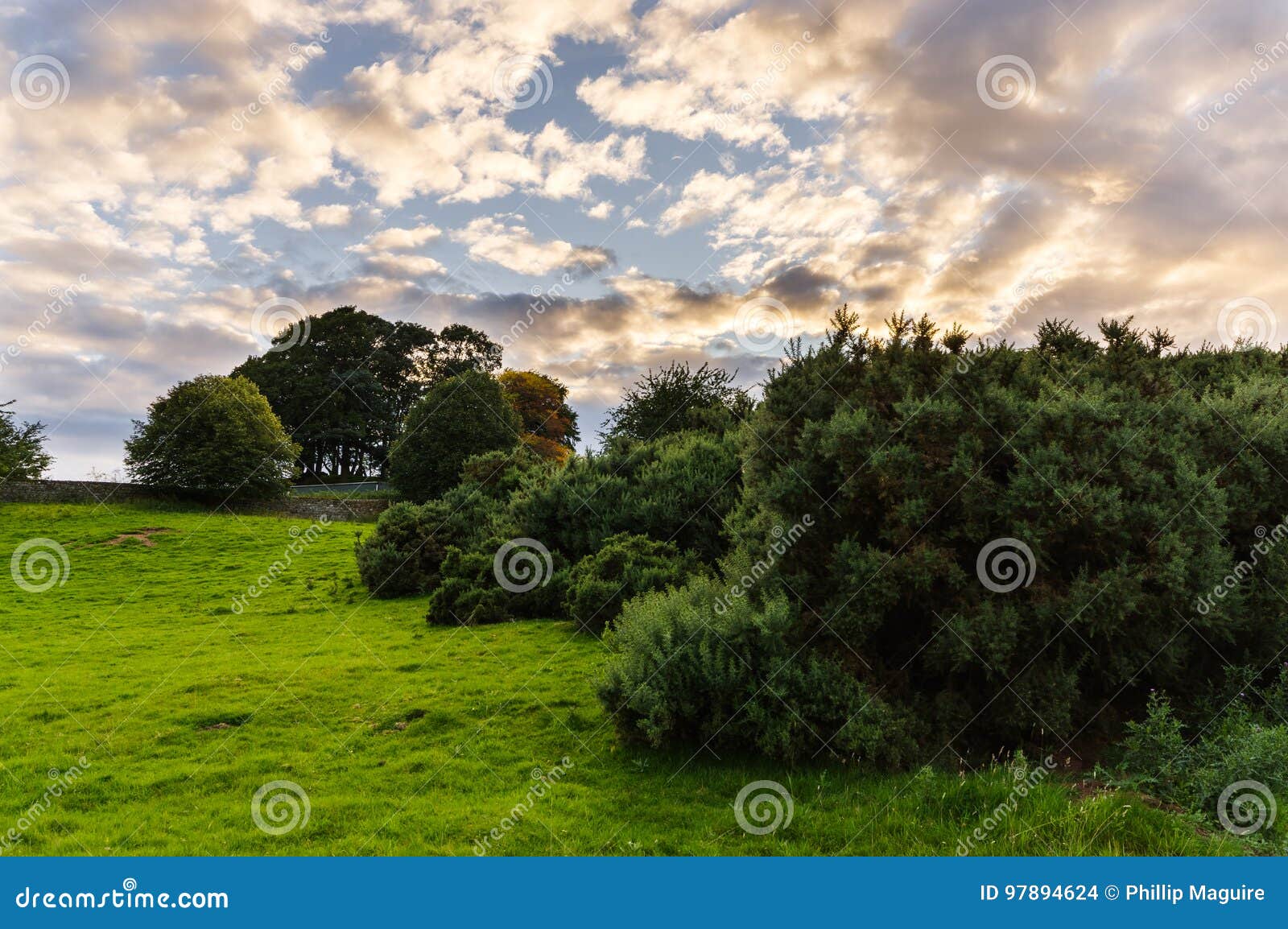 Countryside at sunset stock photo. Image of tranquil - 97894624