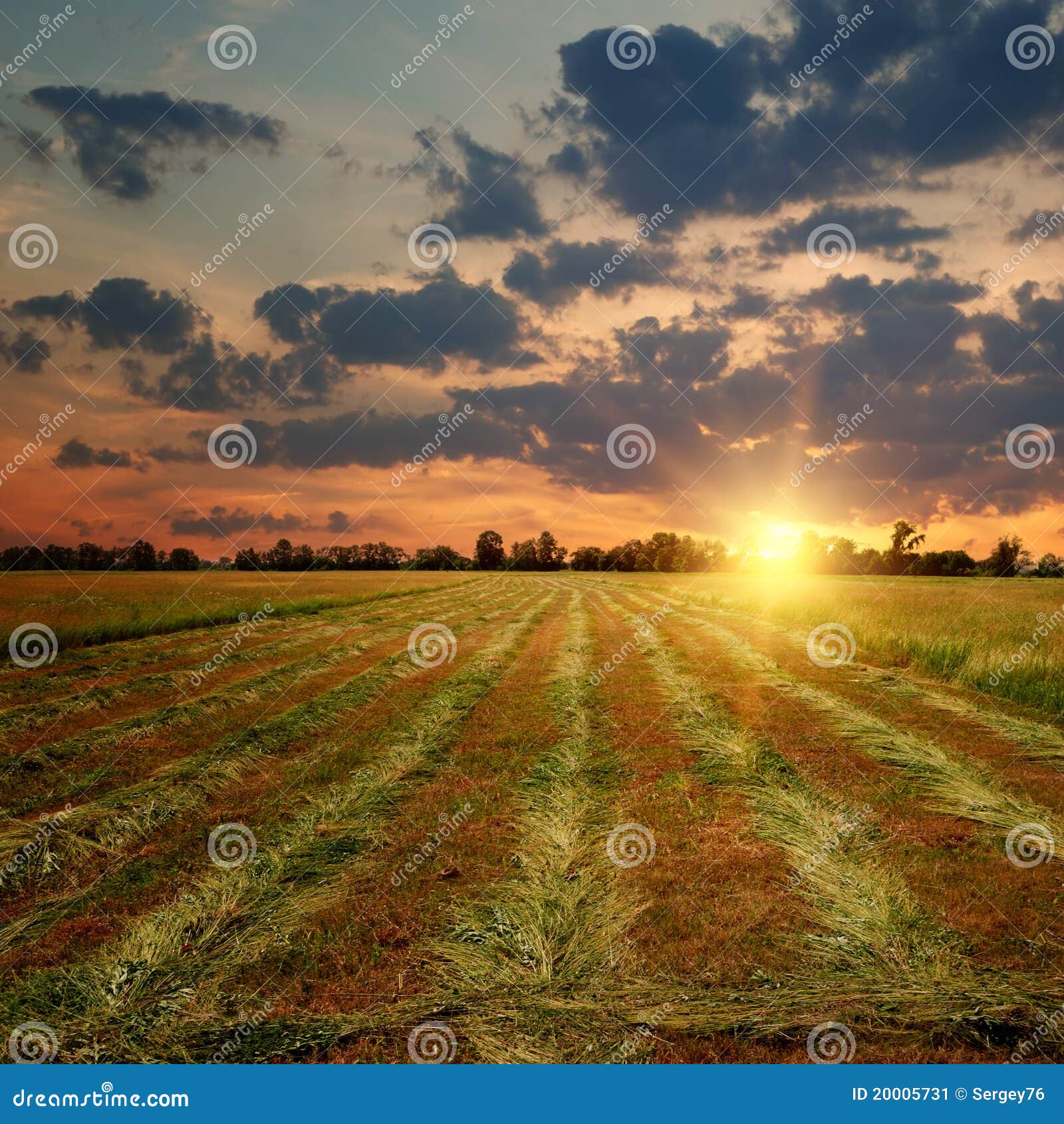 Countryside Sunset on the Field Stock Image - Image of valley, urban ...
