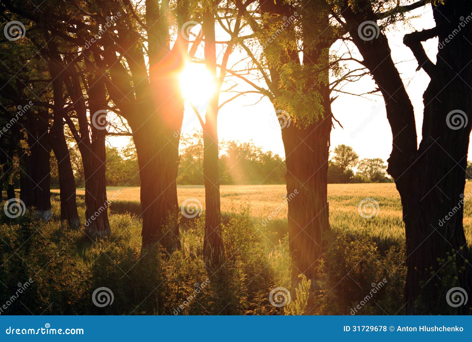 Countryside on sunset stock photo. Image of sunrise, outdoor - 31729678