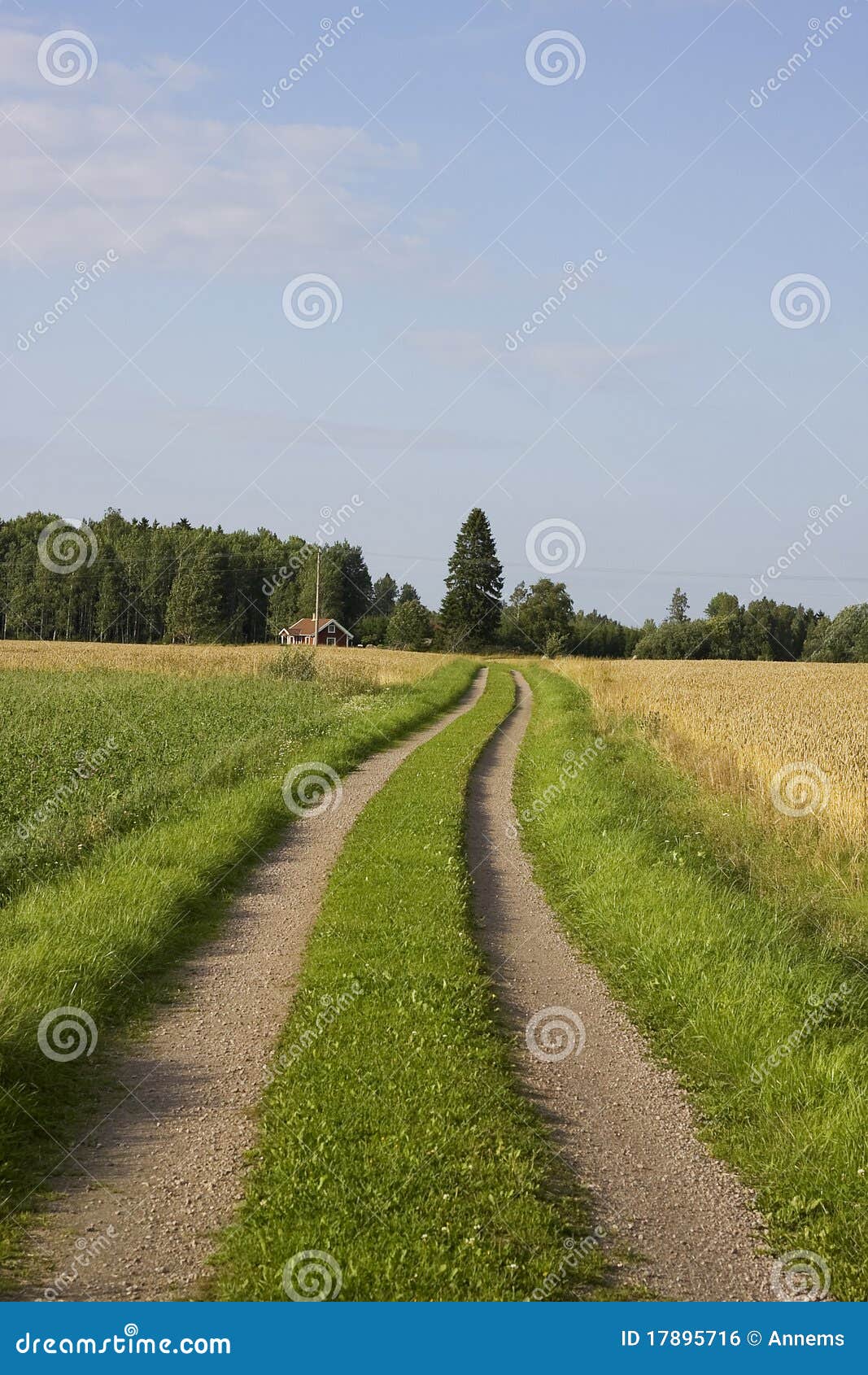 Countryside Sweden stock photo. Image of sweden, vertical - 17895716
