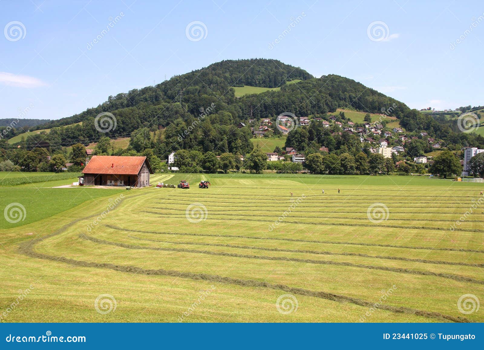 12,641 Switzerland Farming Stock Photos - Free & Royalty-Free Stock ...