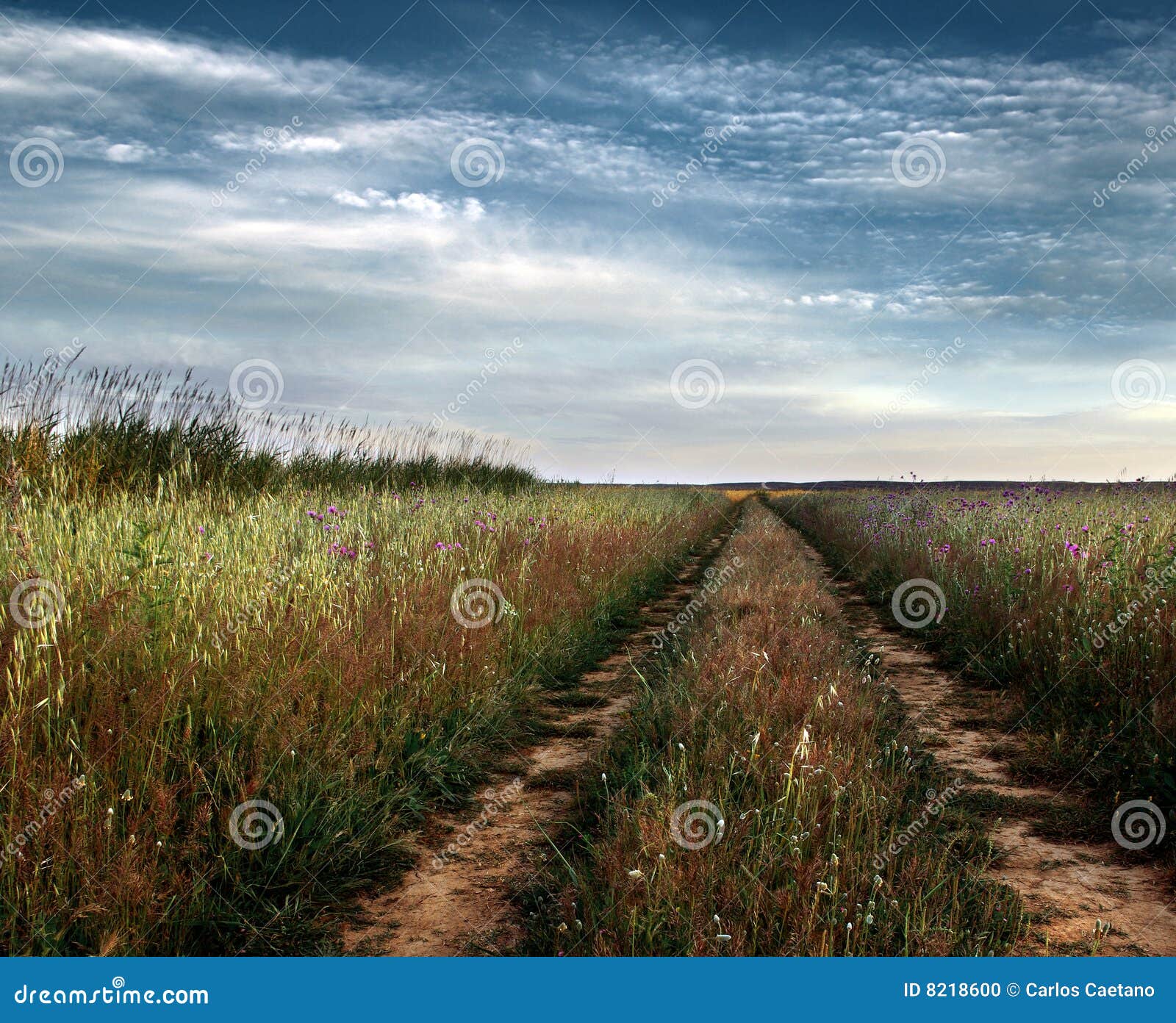 Countryside tracks stock photo. Image of adventure, farming - 8218600
