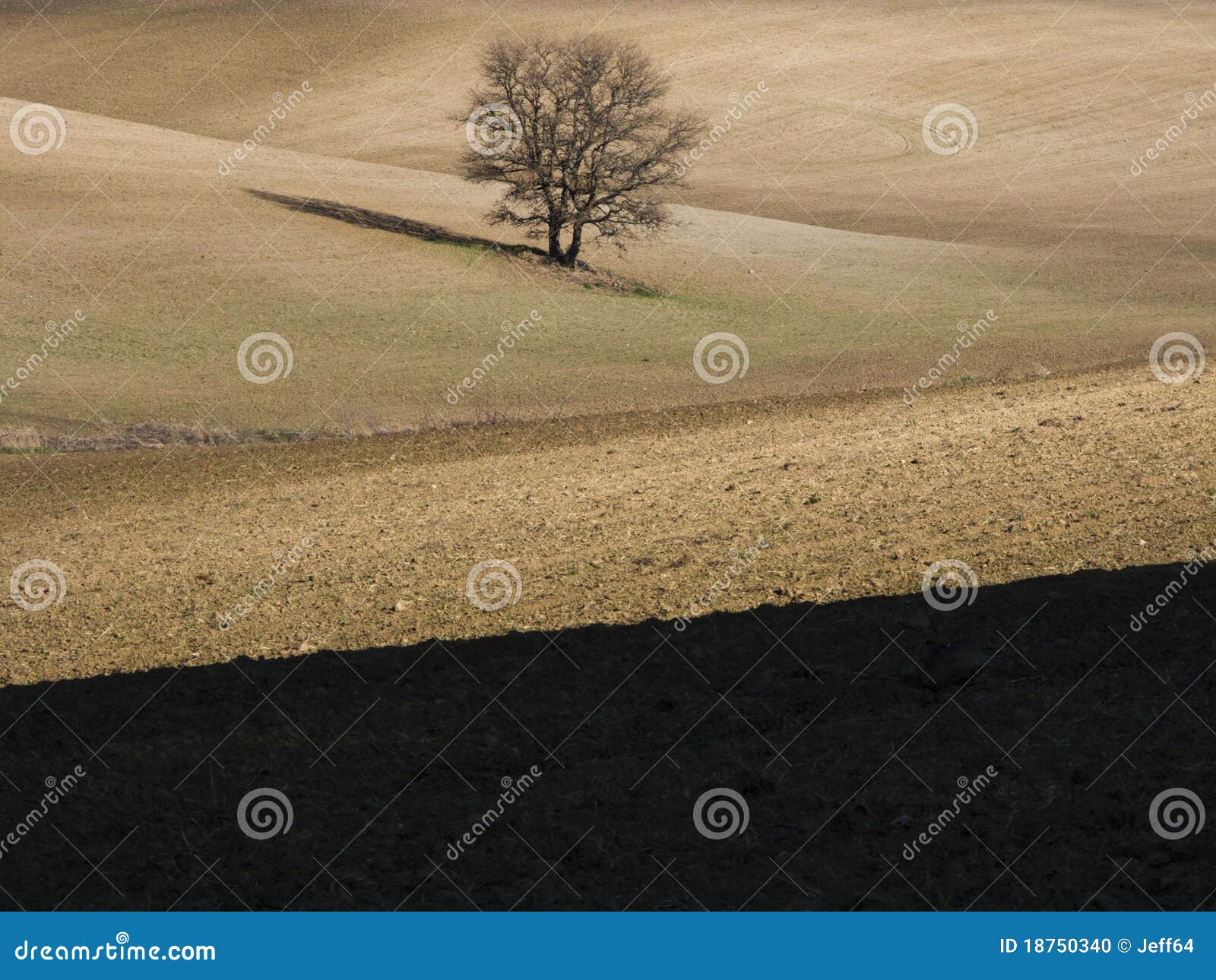 Countryside with tree stock photo. Image of landscape - 18750340