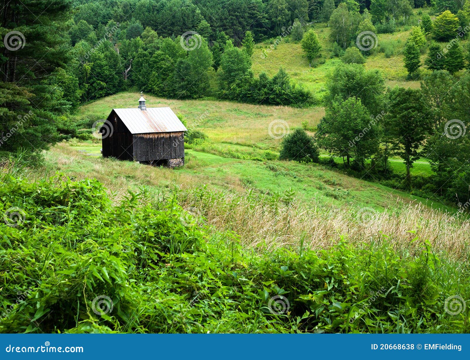 Countryside USA stock photo. Image of green, estate, woods - 20668638