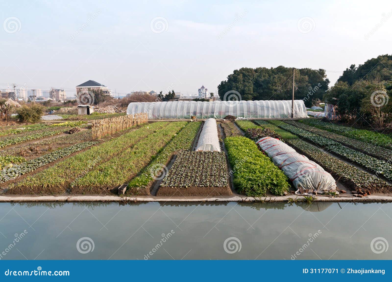 Countryside Vegetable Garden Stock Image - Image of waterscape, food ...
