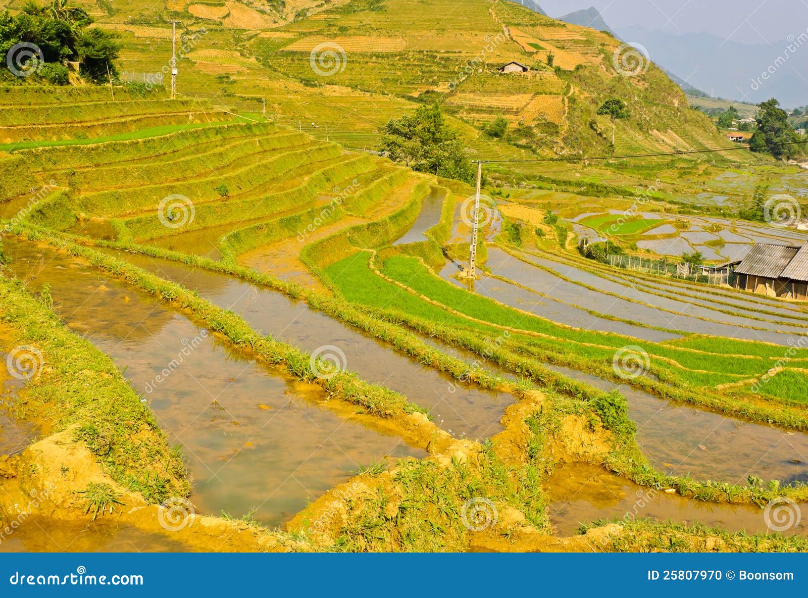 Countryside view stock photo. Image of rural, hill, land - 25807970