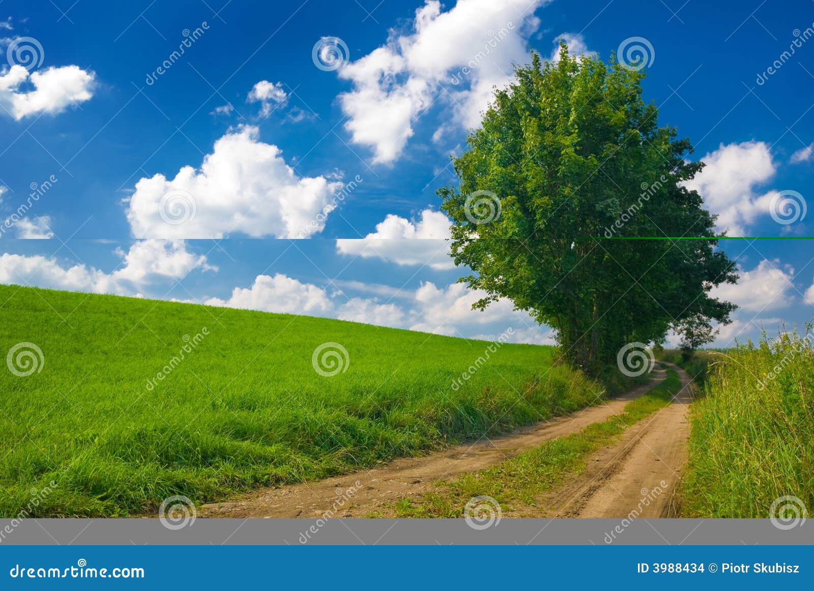 Countryside view. stock photo. Image of natural, field - 3988434