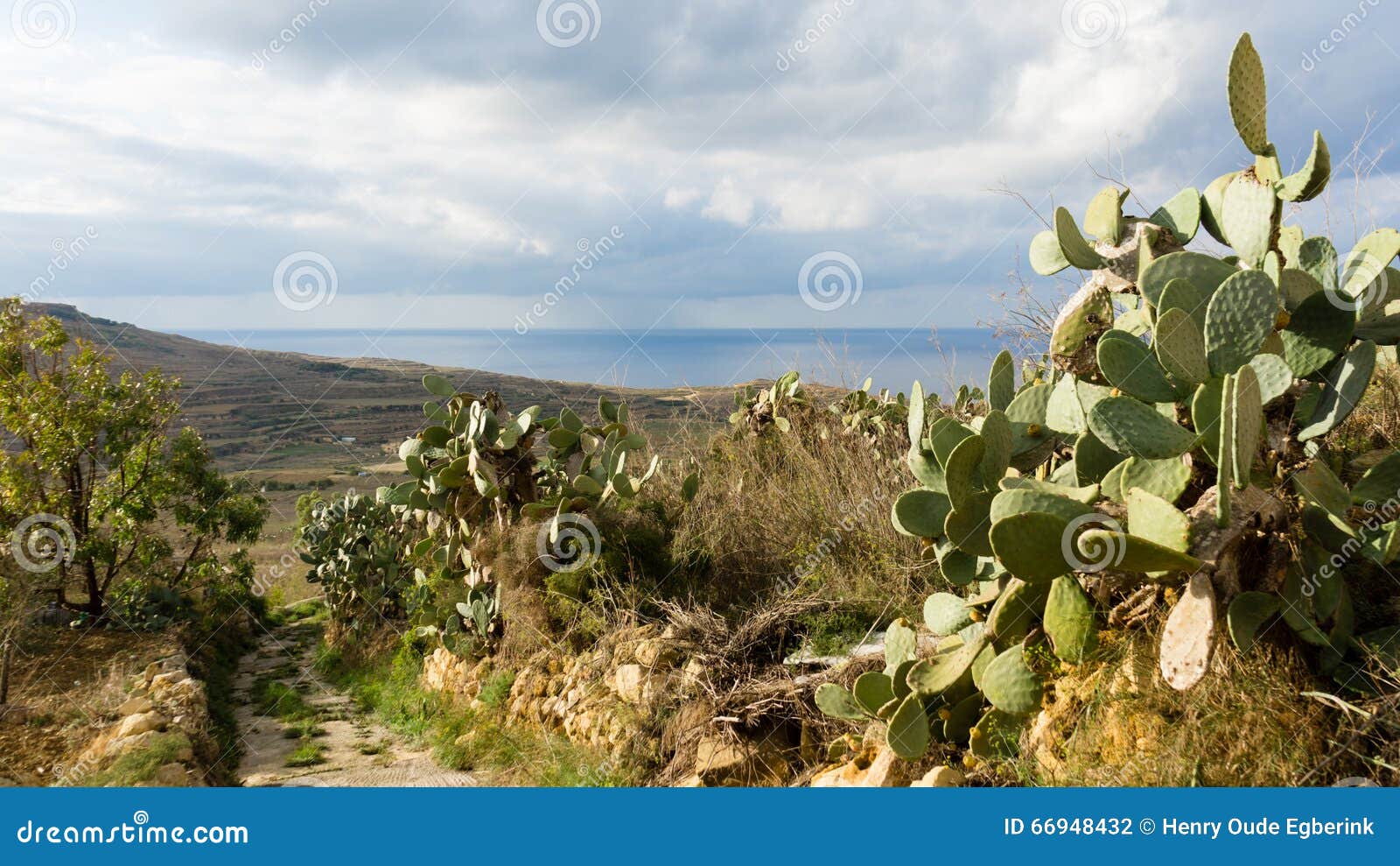 Rural Gozo Island As Seen From Above. Aerial View Of Malta. The Dome Of ...