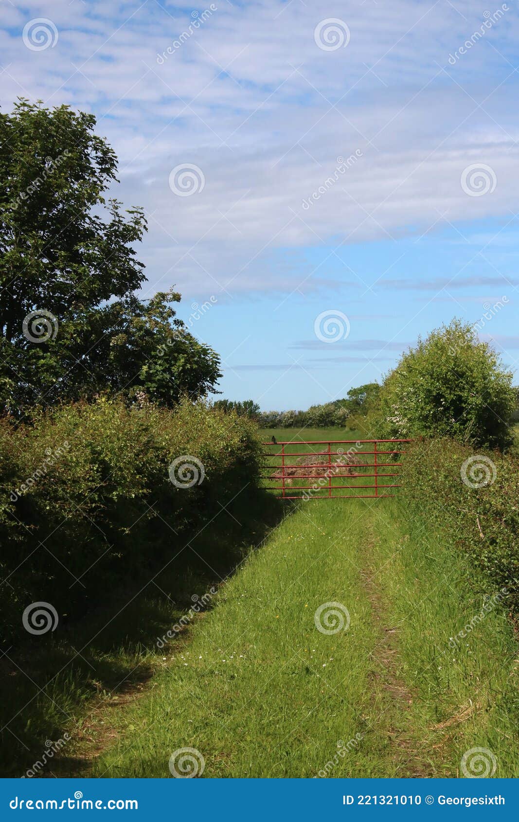 Countryside View Green Lane, Hedges and Farm Gate Stock Photo - Image ...
