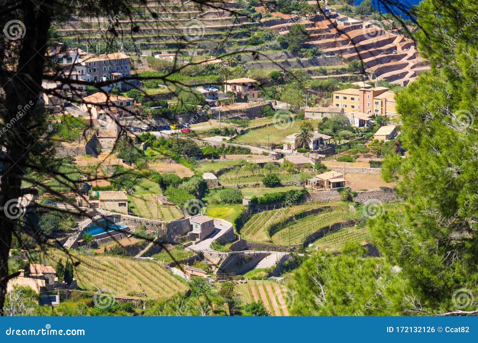 Countryside View on Mallorca Island, Spain Stock Photo - Image of color ...