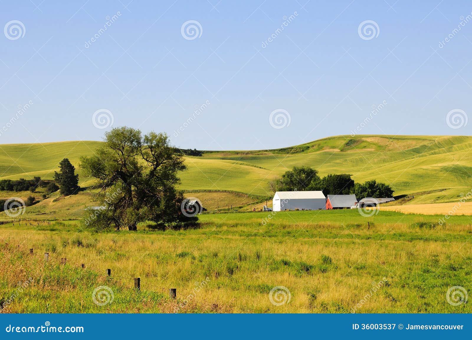 Countryside View in Palouse Stock Image - Image of countryside, rural ...