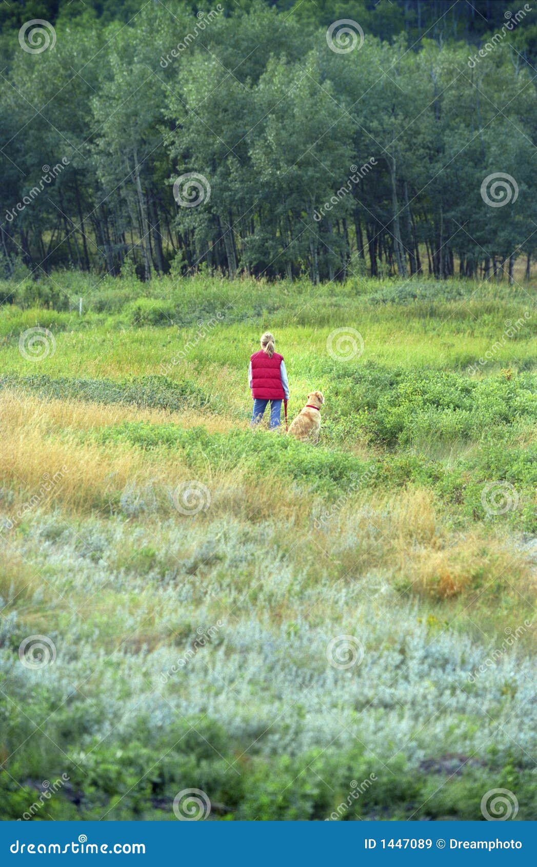 Countryside Walk stock image. Image of walk, countryside - 1447089