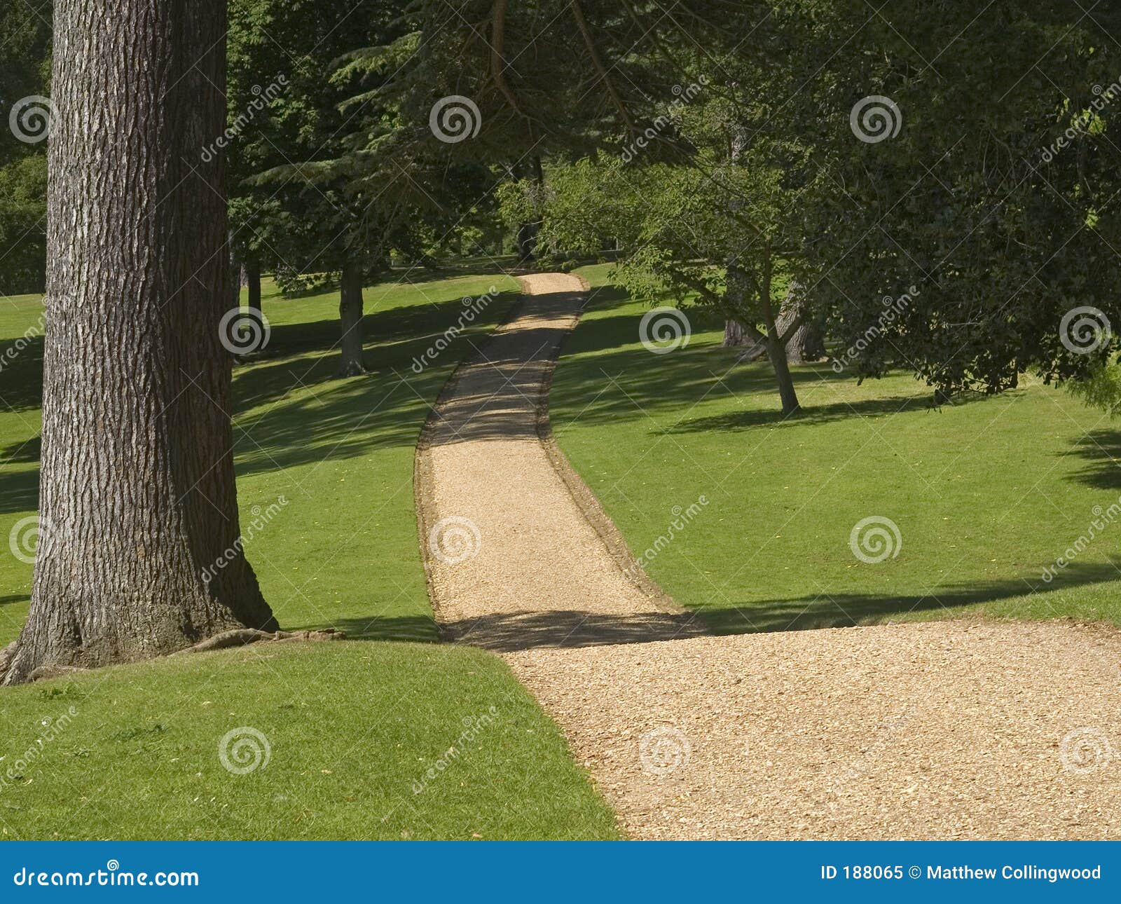 Countryside Walk stock image. Image of rural, forest, countryside - 188065