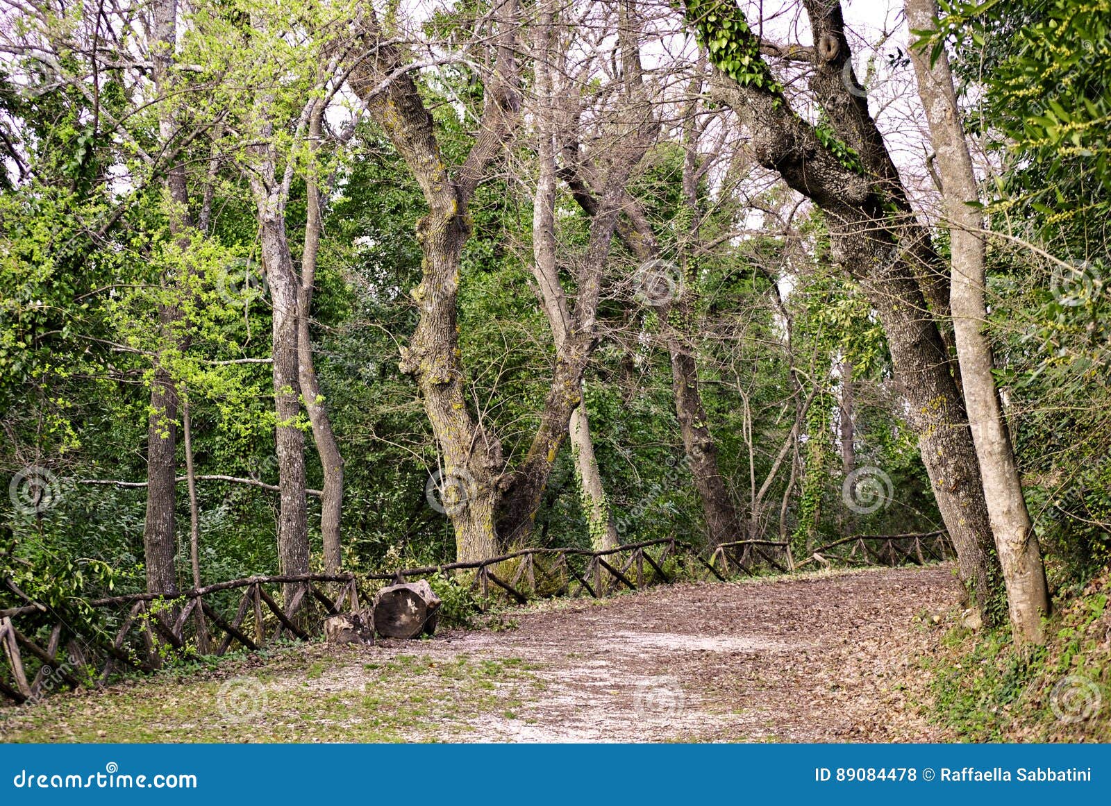 Countryside walk stock photo. Image of walk, silence - 89084478